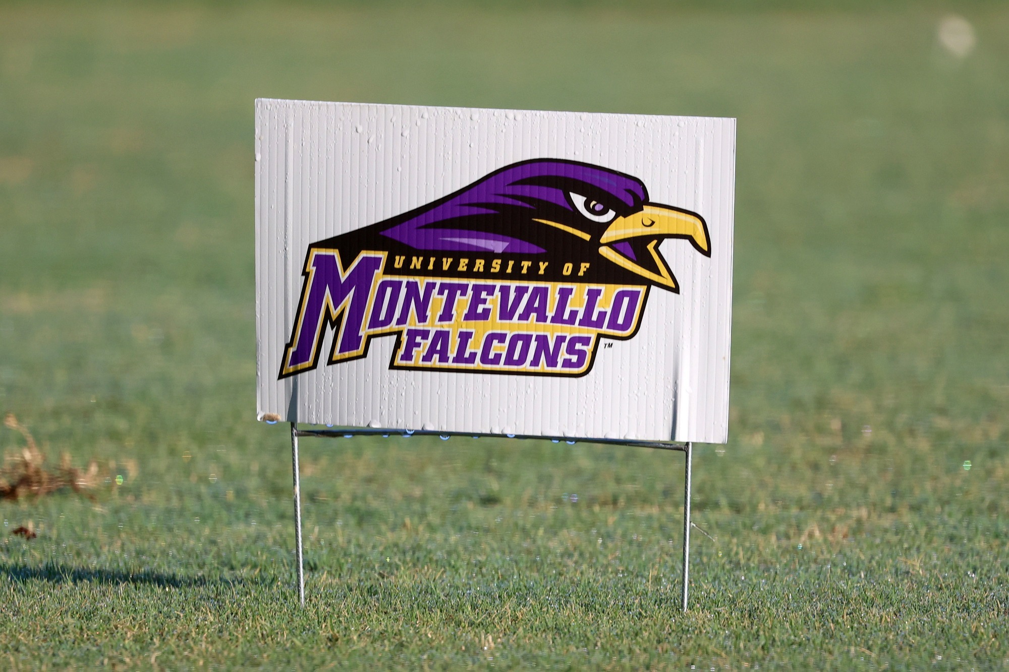 Trio of Women's Golfers Named to CSC Academic All-District Team ...