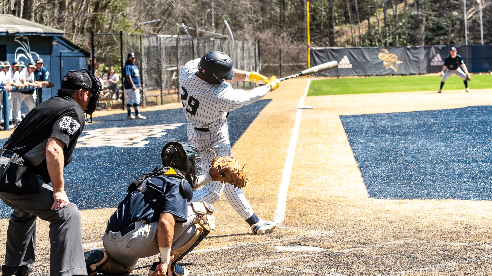 Baseball Beats Bruins in Non-Conference Finale - Montreat College