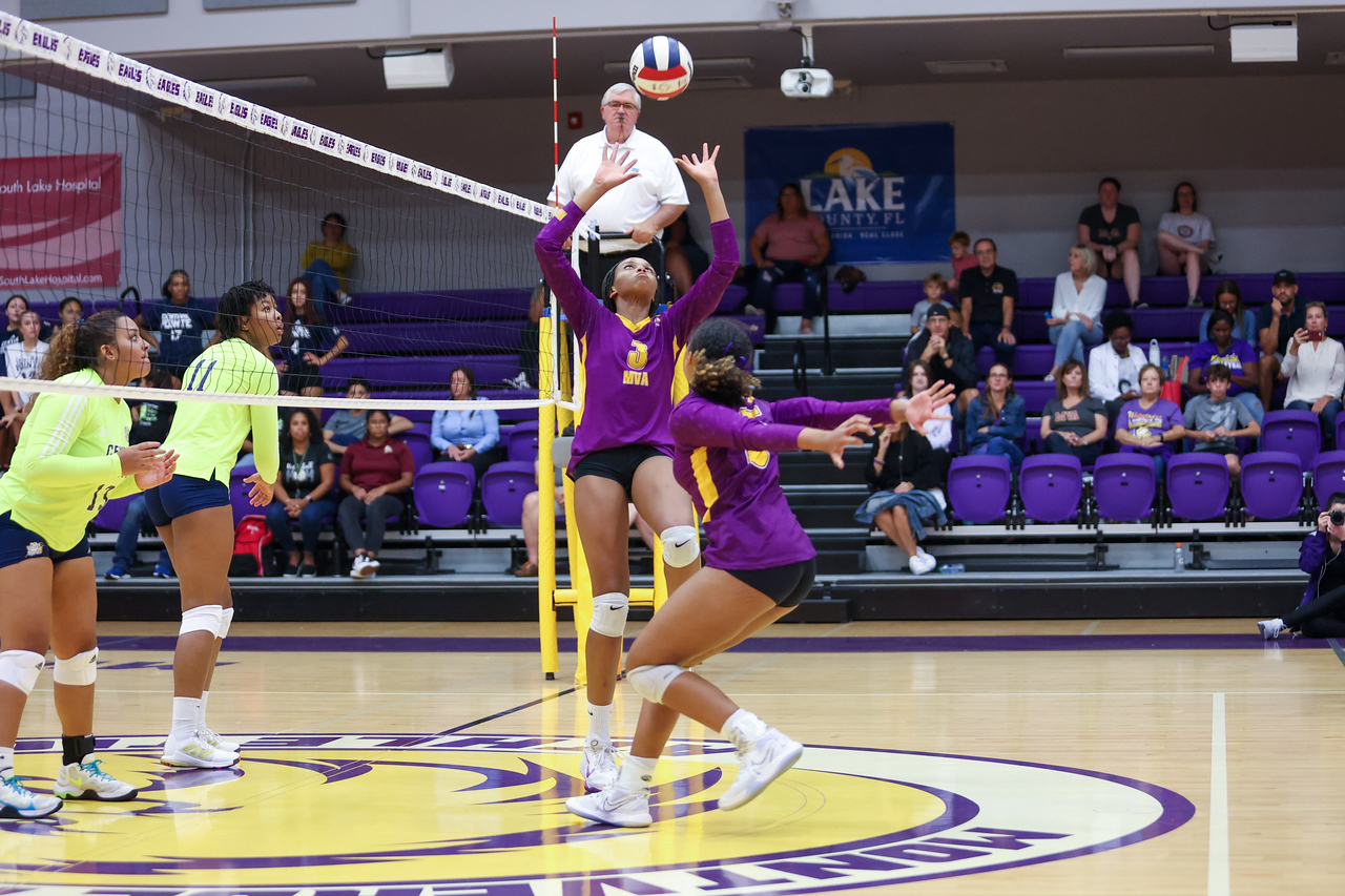 Bailey Hollis - Girls Volleyball - Montverde Academy Athletics