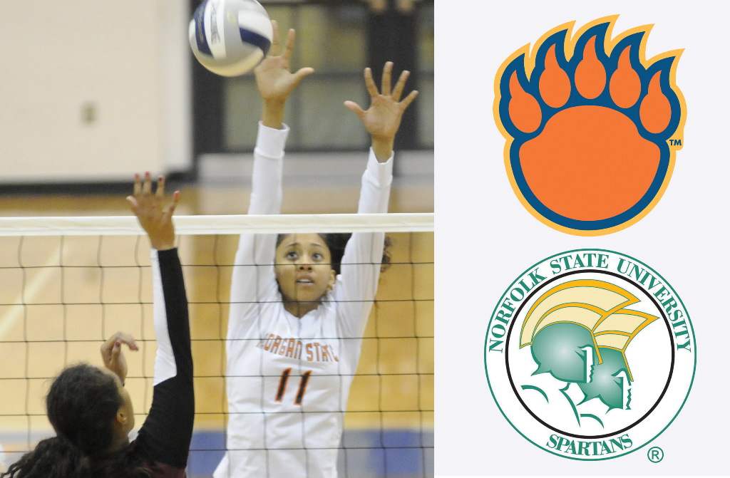 Janelle Wilson - Volleyball - Morgan State University Athletics
