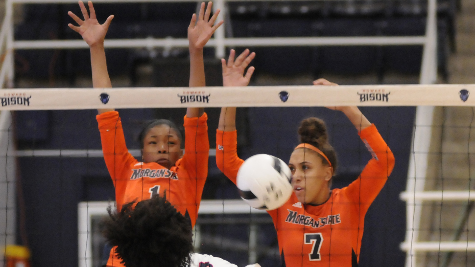 Sara Brown - Volleyball - Morgan State University Athletics