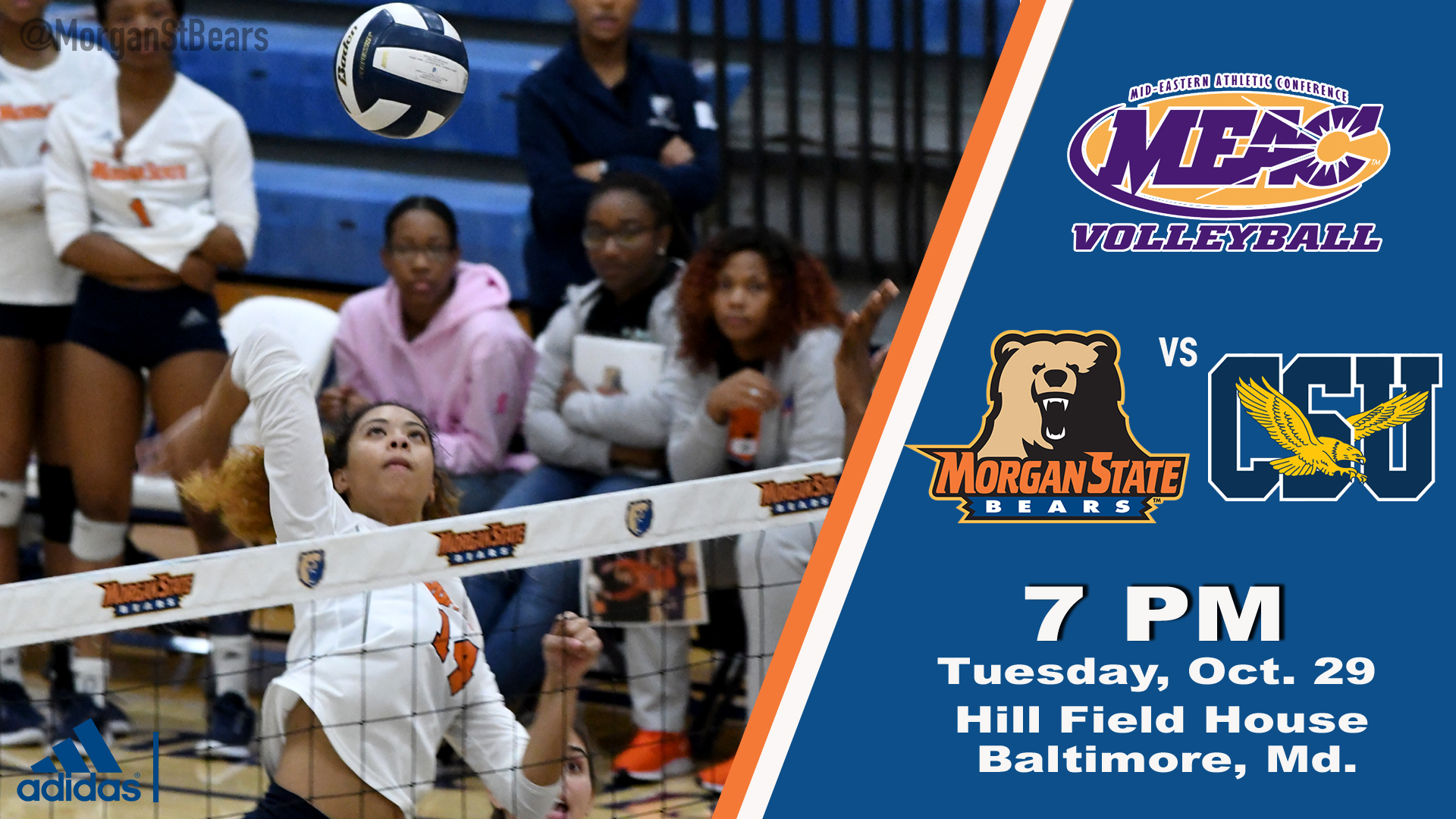 Jasmin Perry - Volleyball - Morgan State University Athletics