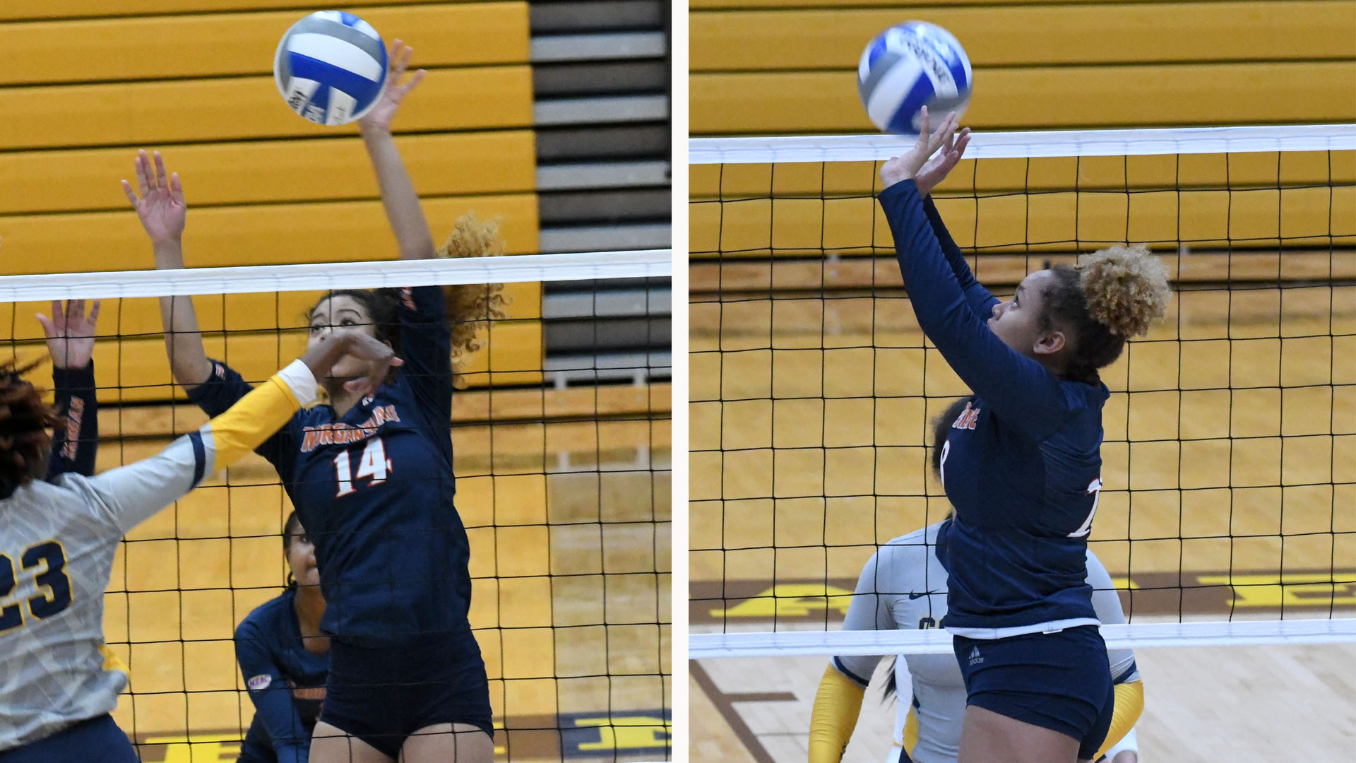 Roi Wallace - Volleyball - Morgan State University Athletics