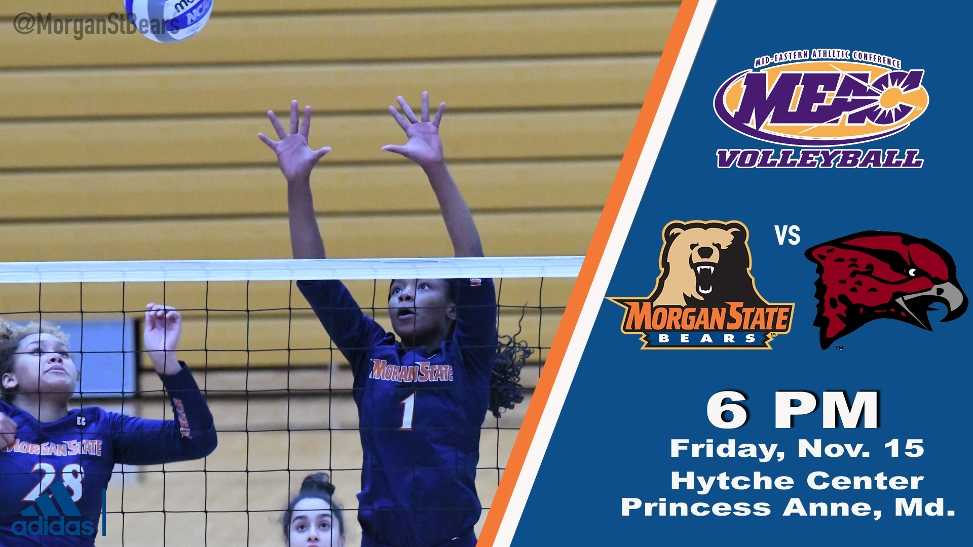 Sara Brown - Volleyball - Morgan State University Athletics