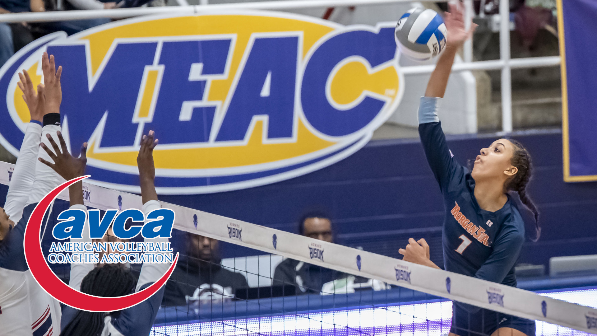 Zoe McBride - Volleyball - Morgan State University Athletics