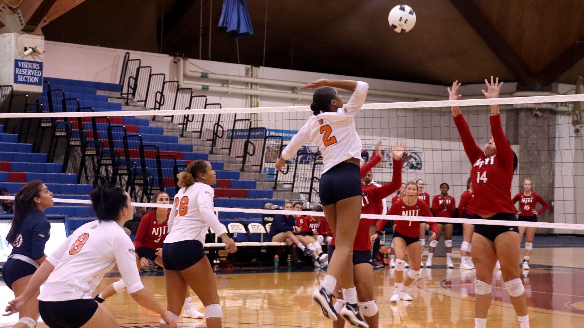 Shadae Debraux - Volleyball - Morgan State University Athletics