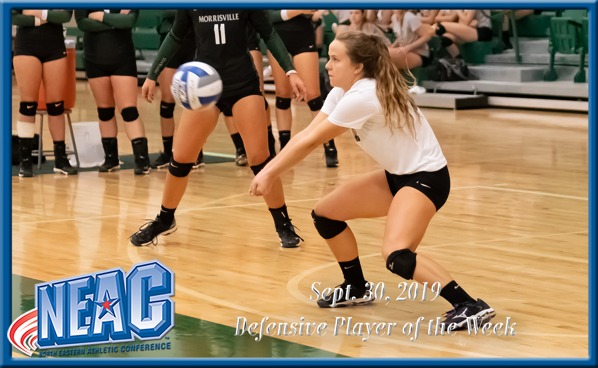 Sam Wolf - 2019 - Volleyball (W) - SUNY Morrisville