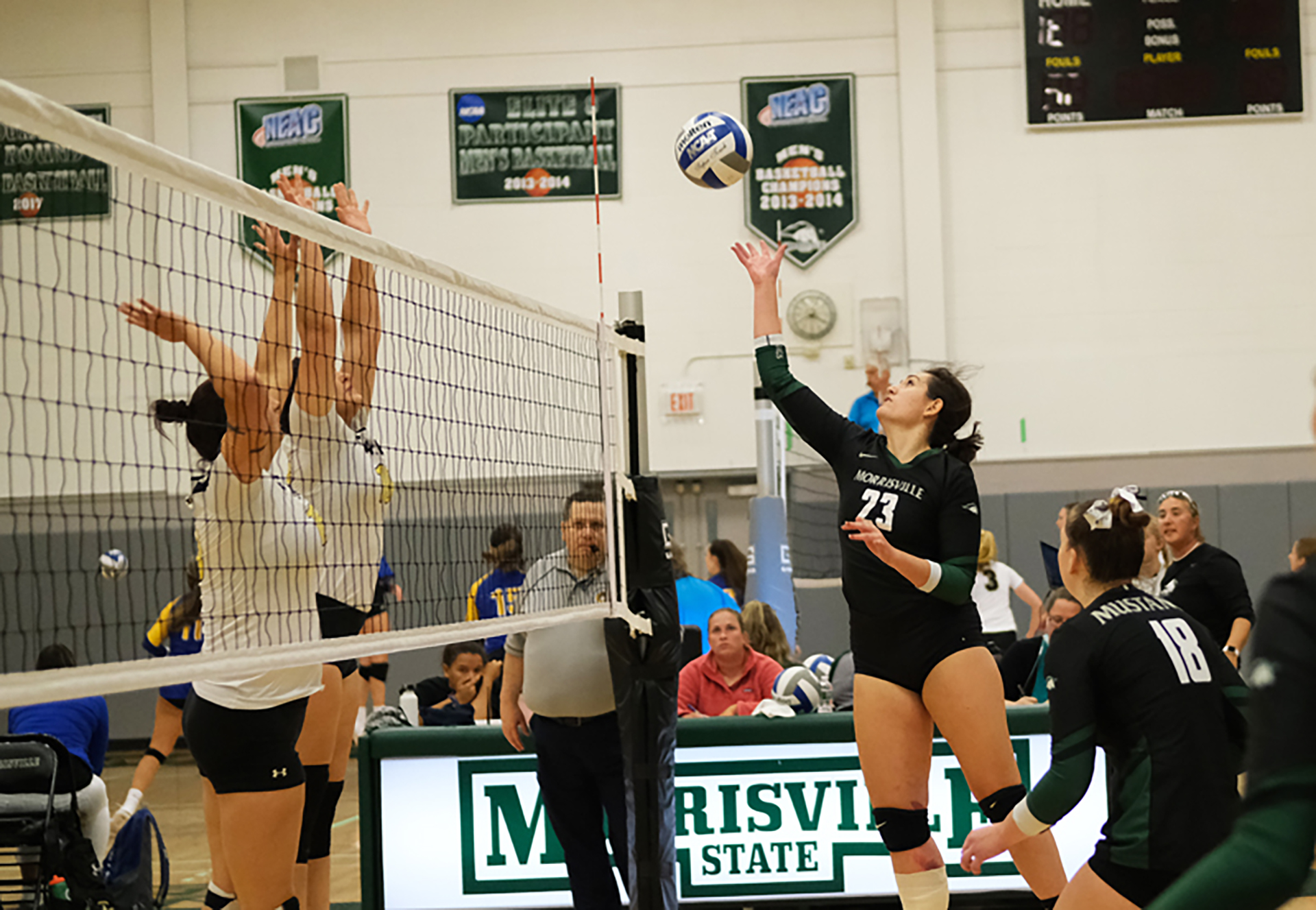Marina Megson - 2022 - Volleyball (W) - SUNY Morrisville
