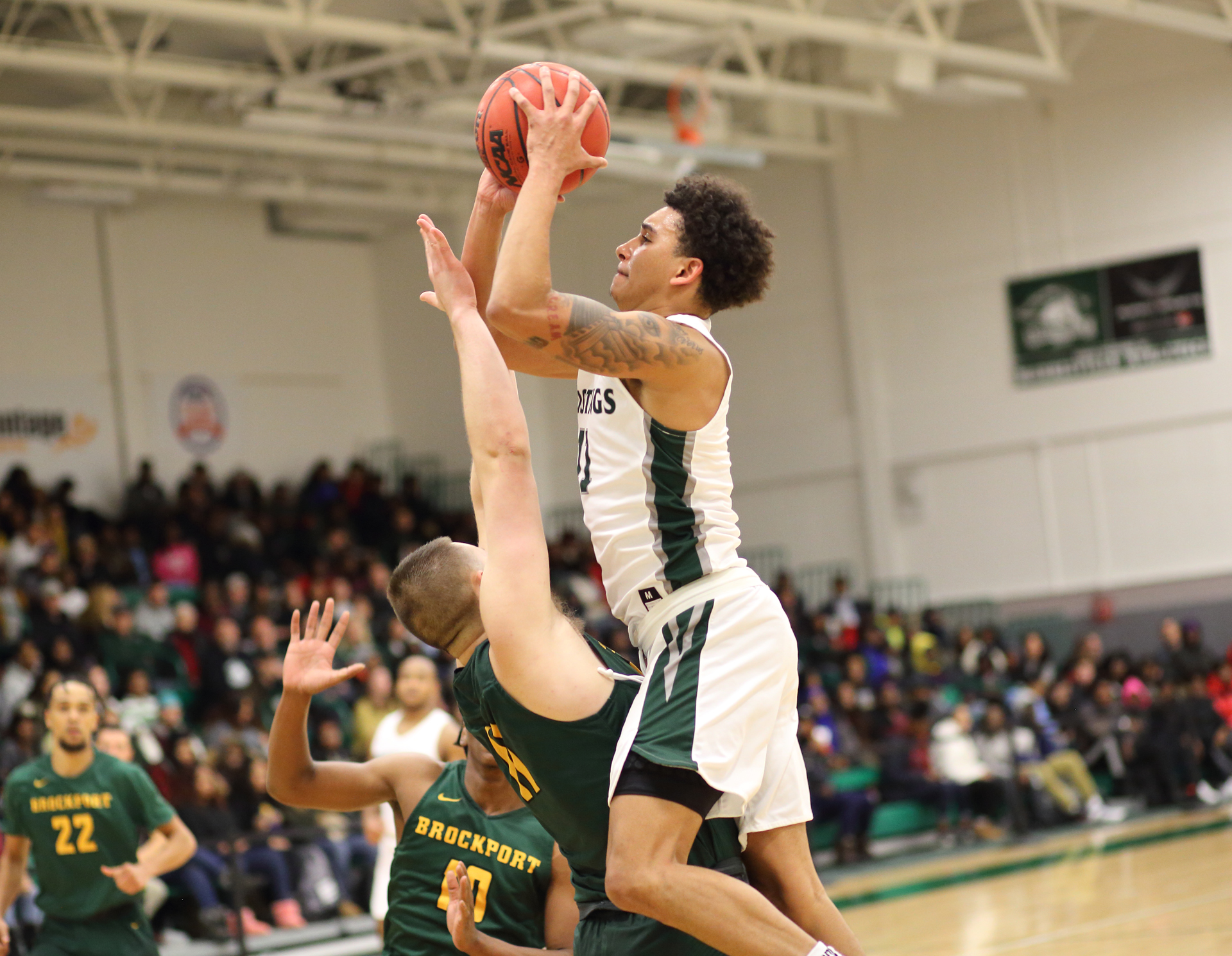 Justin Mitchell - 2018-19 - Basketball (M) - SUNY Morrisville