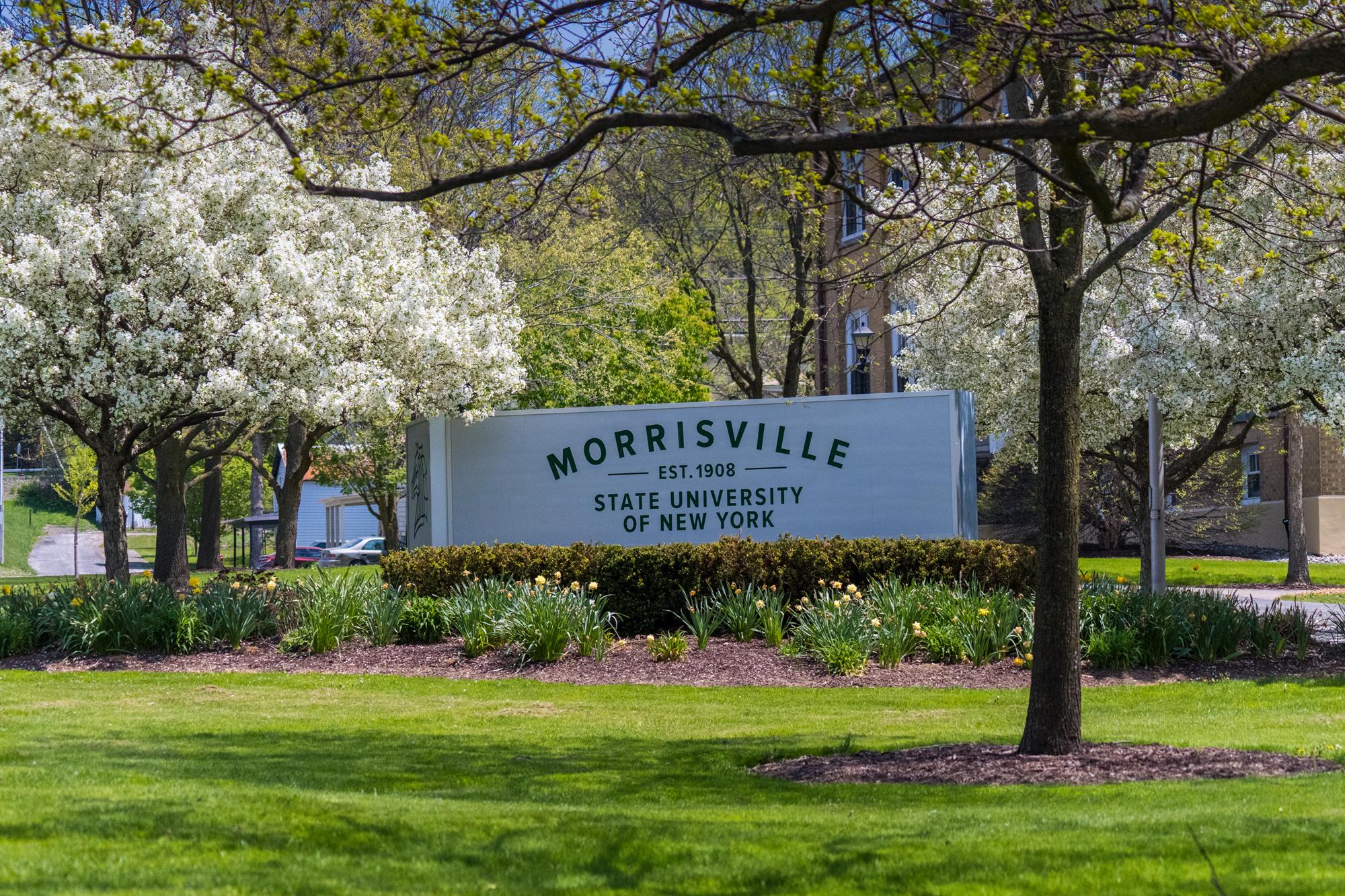 Morrisville announces Spring 2022 Athletics Director Honor Roll - SUNY ...