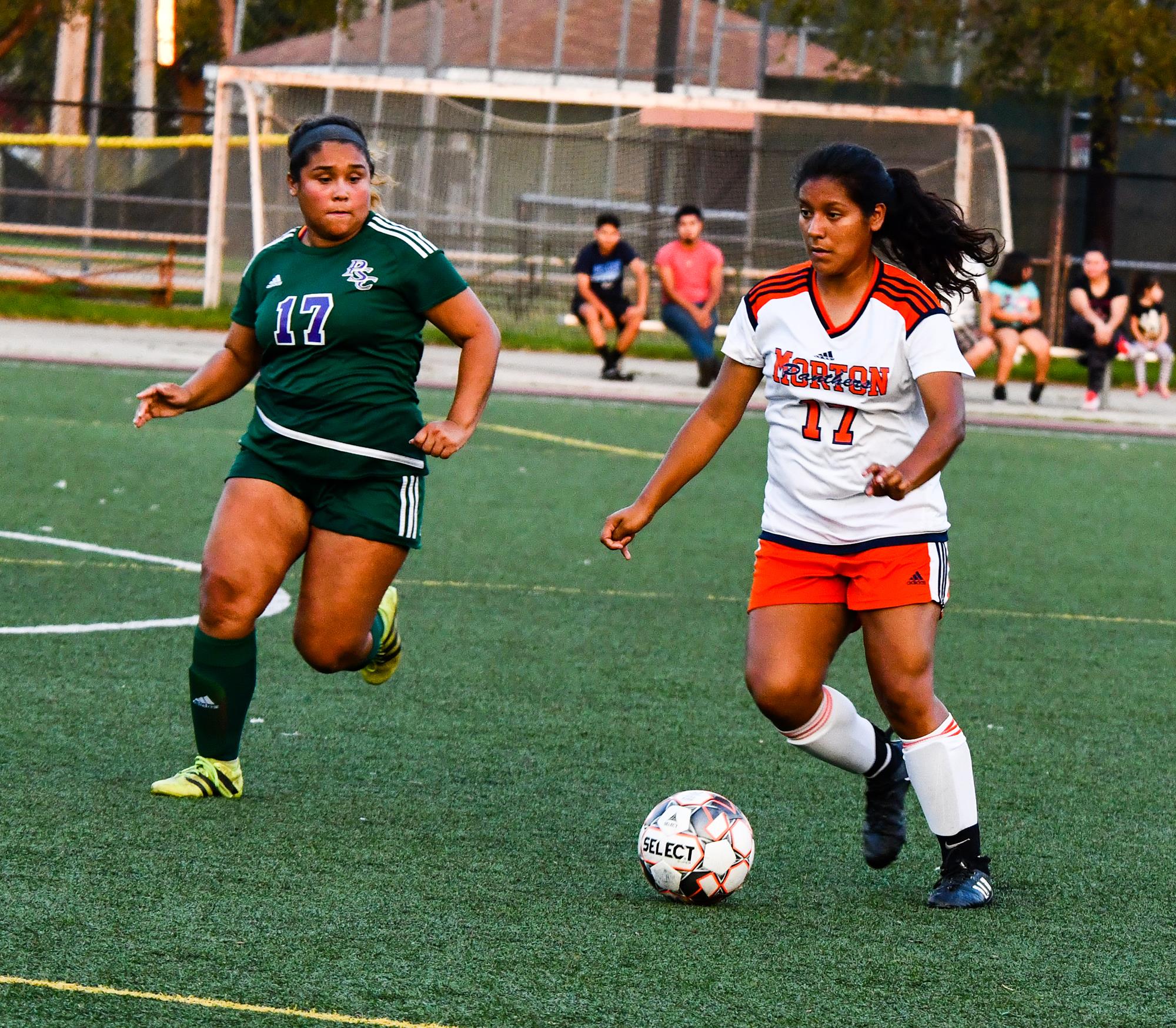 Nataley Salgado - 2018-19 - Women's Soccer - Morton College Athletics