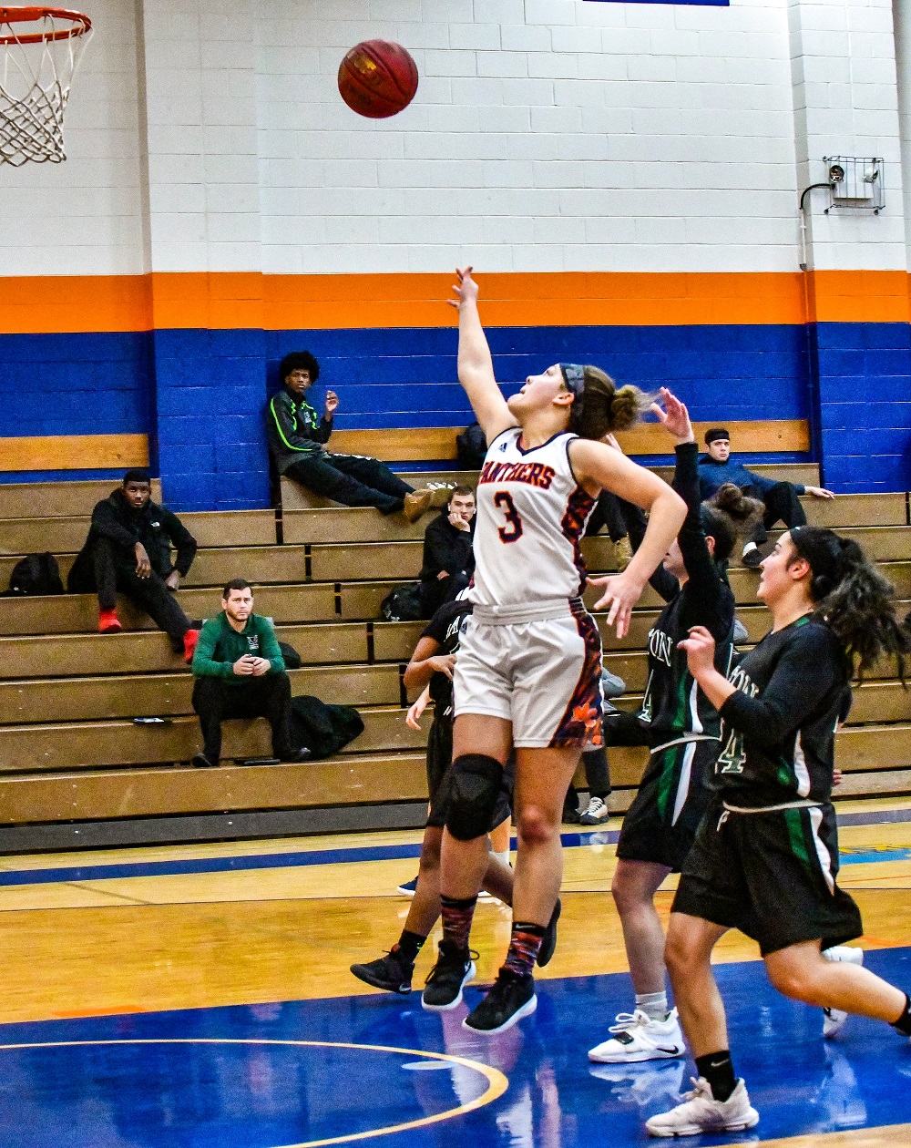 Maya Hobson - 2018-19 - Women's Basketball - Morton College Athletics