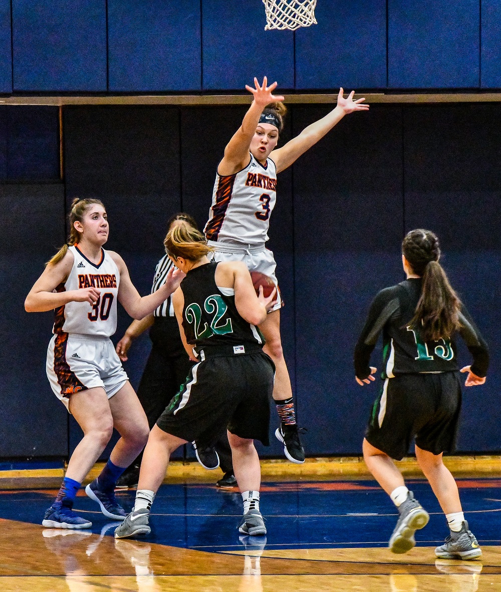 Maya Hobson - 2018-19 - Women's Basketball - Morton College Athletics