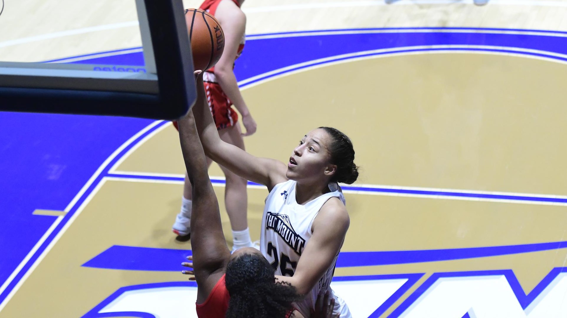 Taylor Addison - 2019-20 - Women's Basketball - Mount St. Mary's University