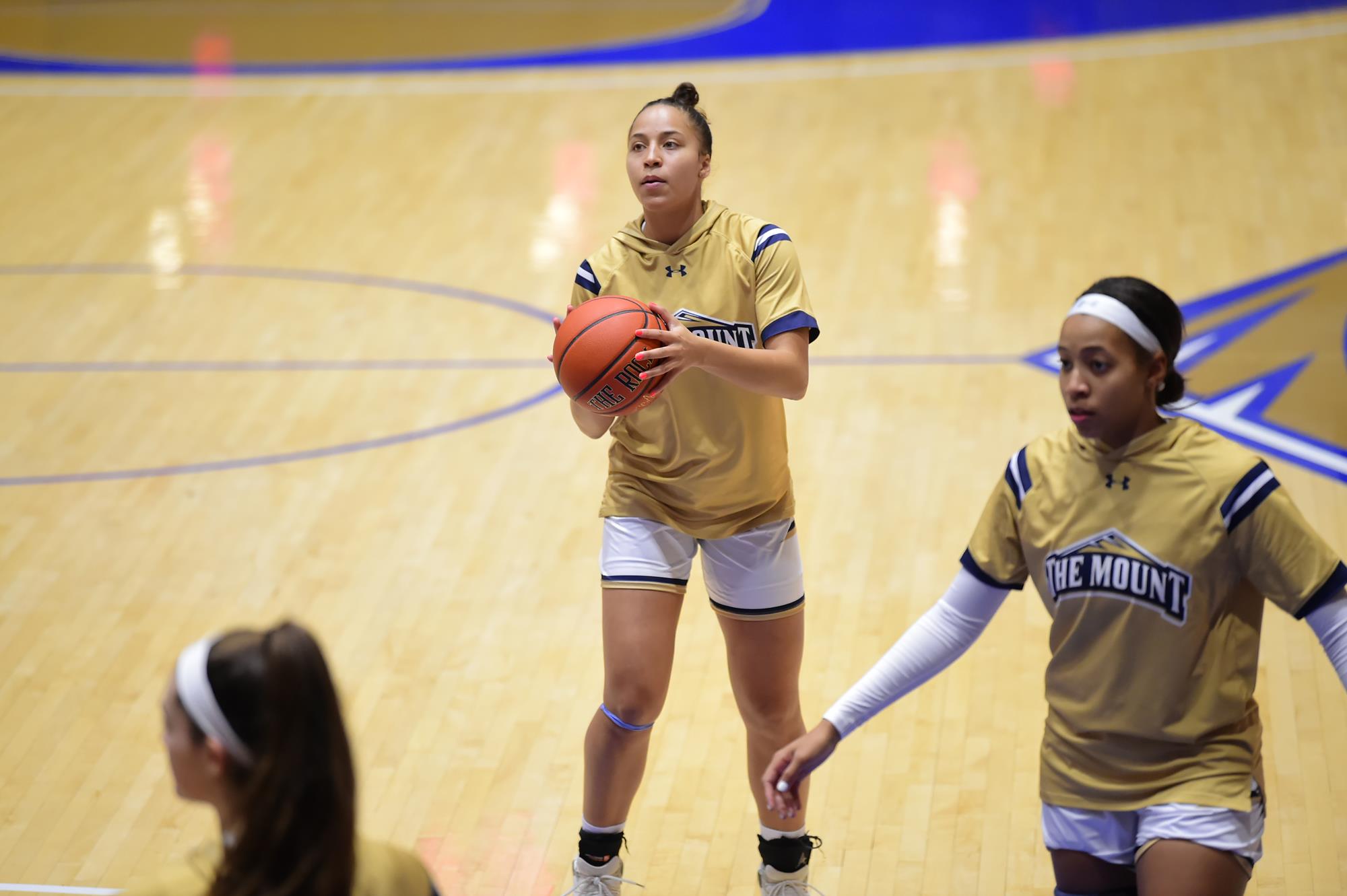 Taylor Addison - 2019-20 - Women's Basketball - Mount St. Mary's University