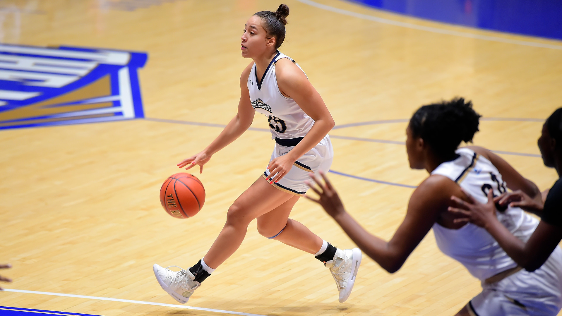Taylor Addison - 2019-20 - Women's Basketball - Mount St. Mary's University
