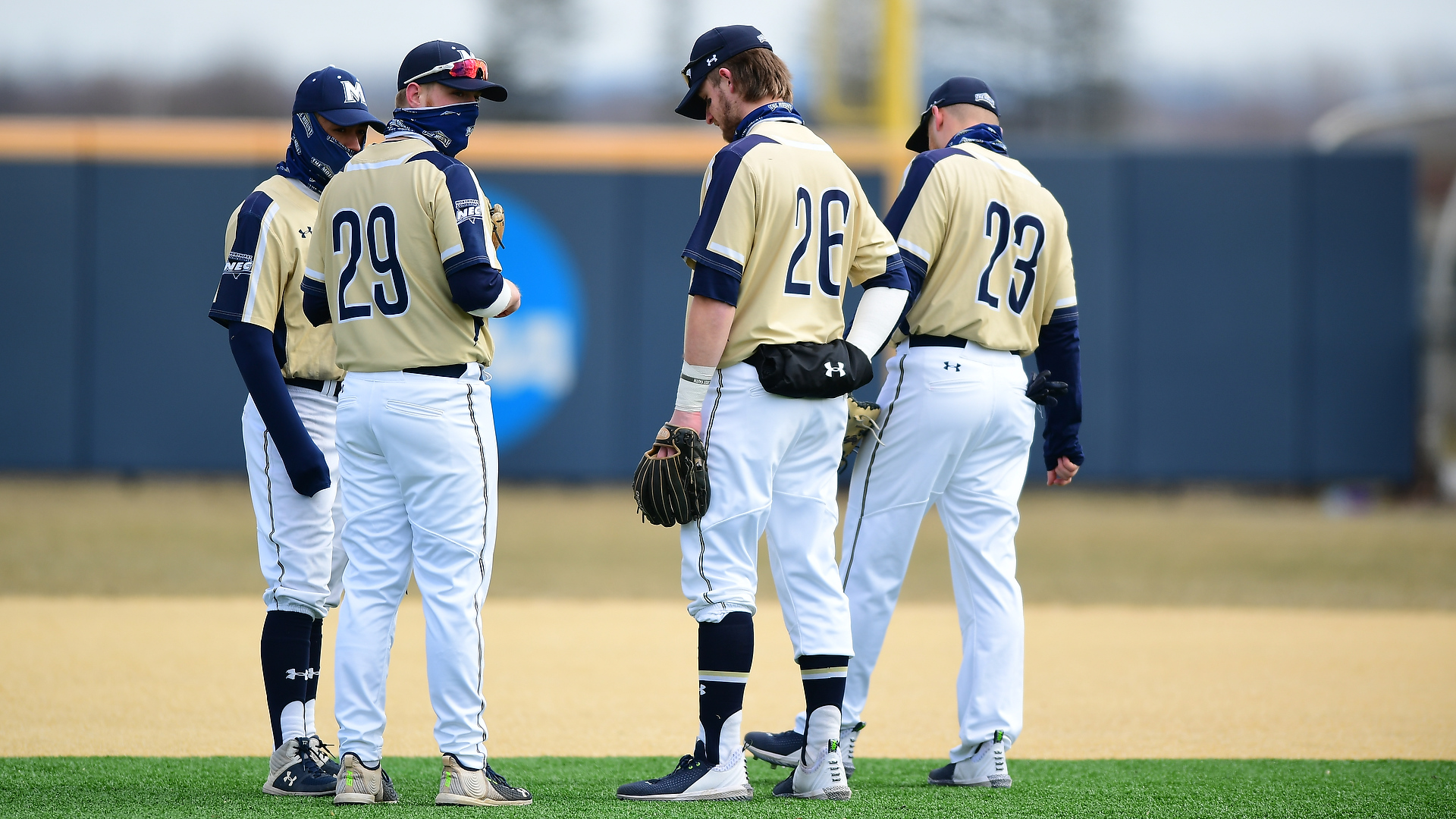 Baseball Begins Northeast Conference Play with Long Island - Mount St ...