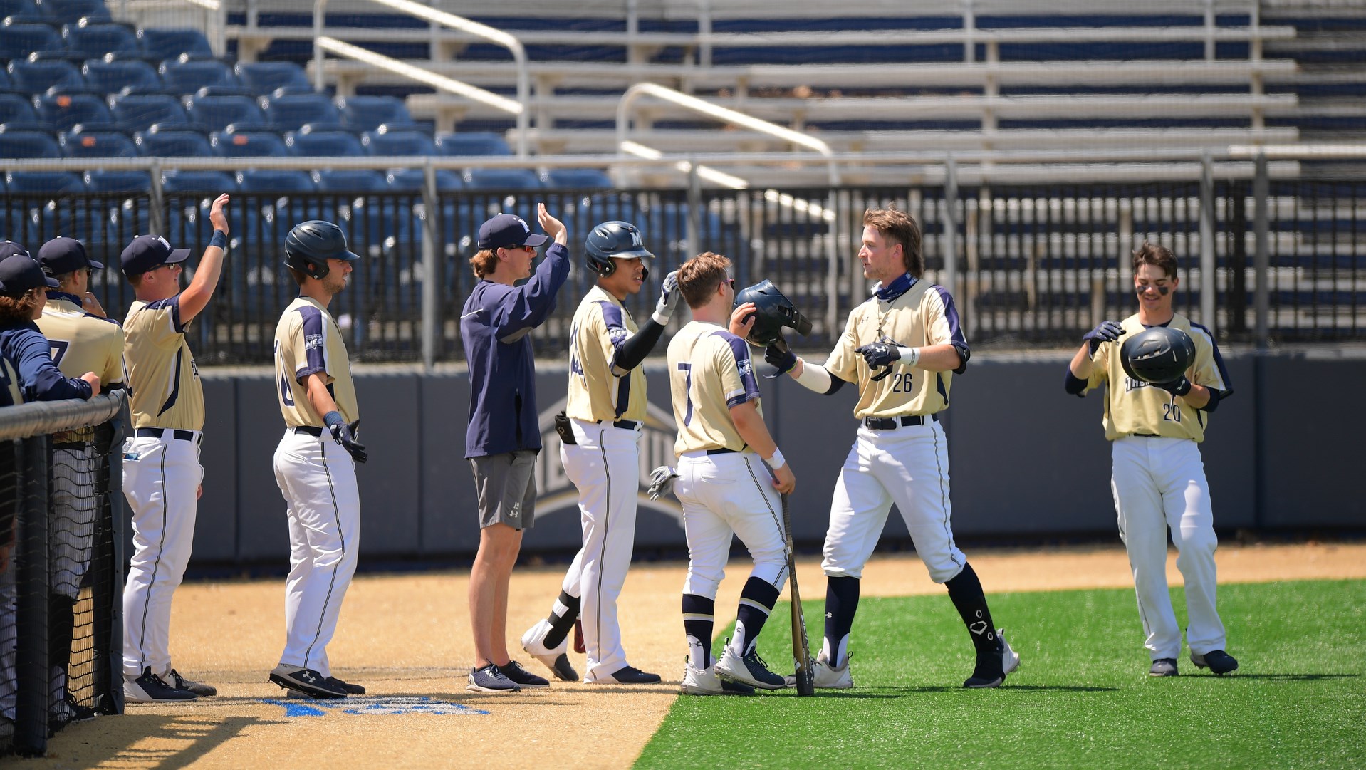 Mount St. Mary’s Baseball Wraps Up 2021 Campaign at Bryant - Mount St ...