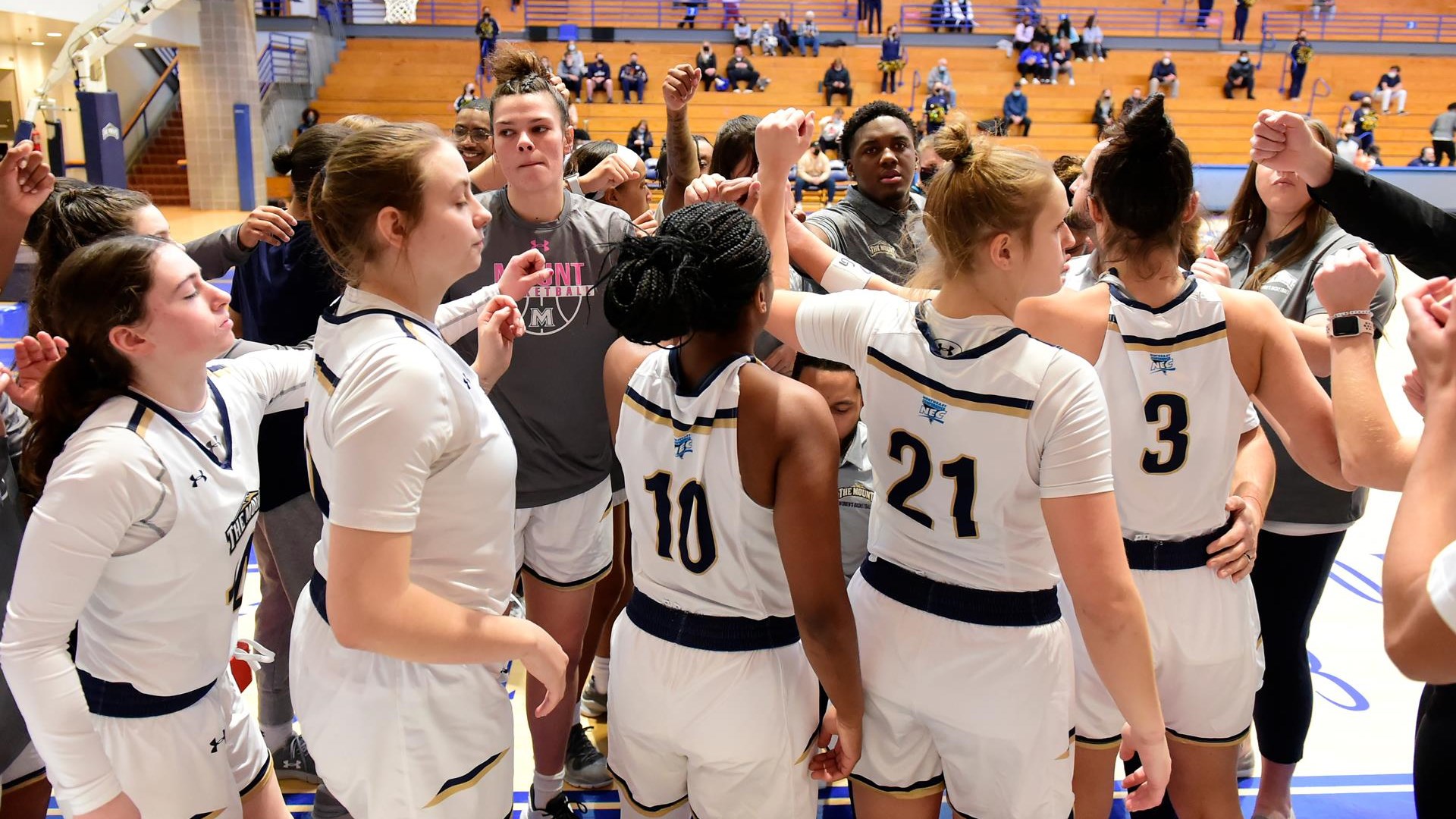 Women’s Basketball Looks to Match Season Win Streak Against St. Francis ...