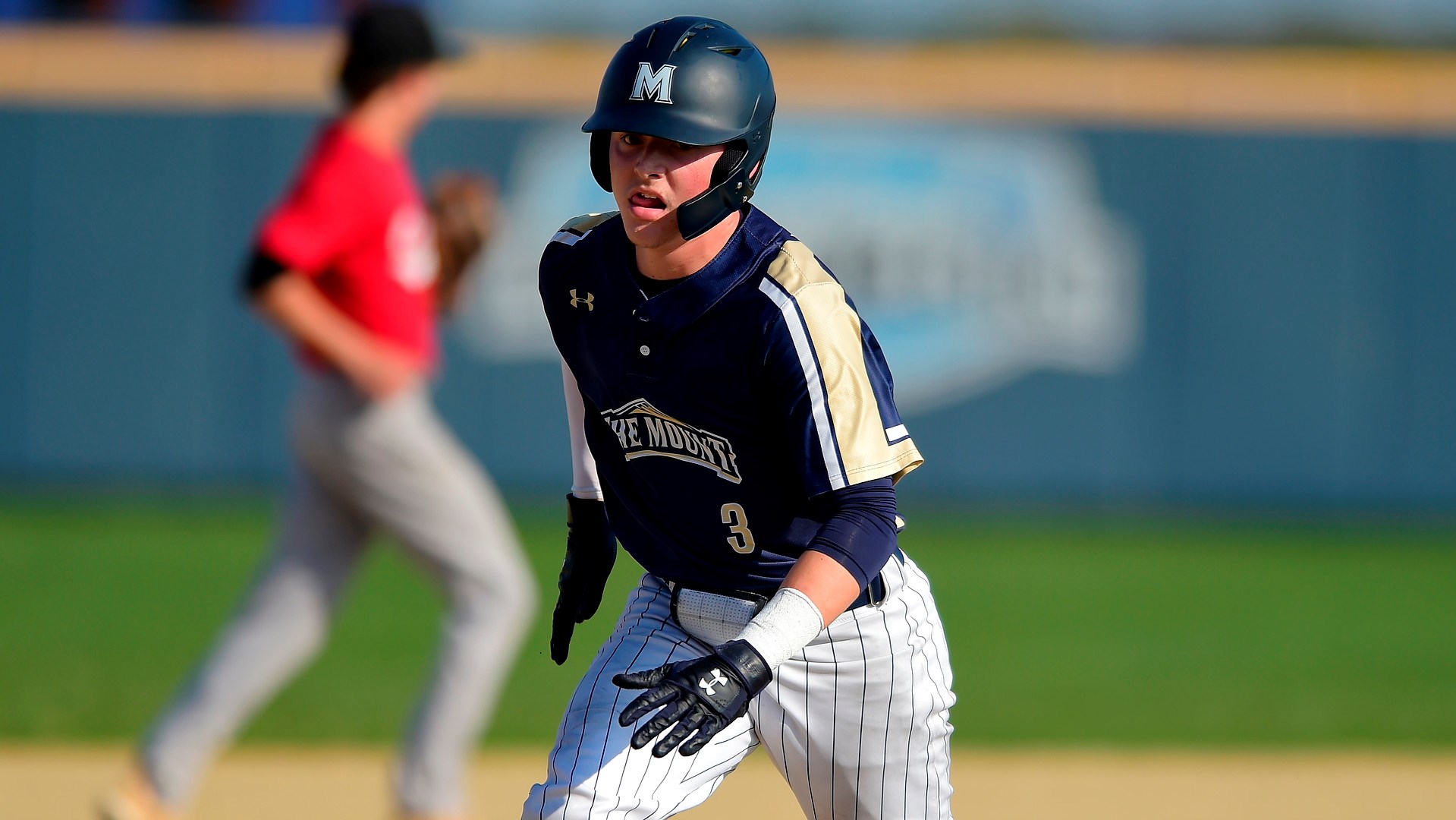 Mount St. Mary’s Baseball Walks Off with First Win of Season - Mount St ...