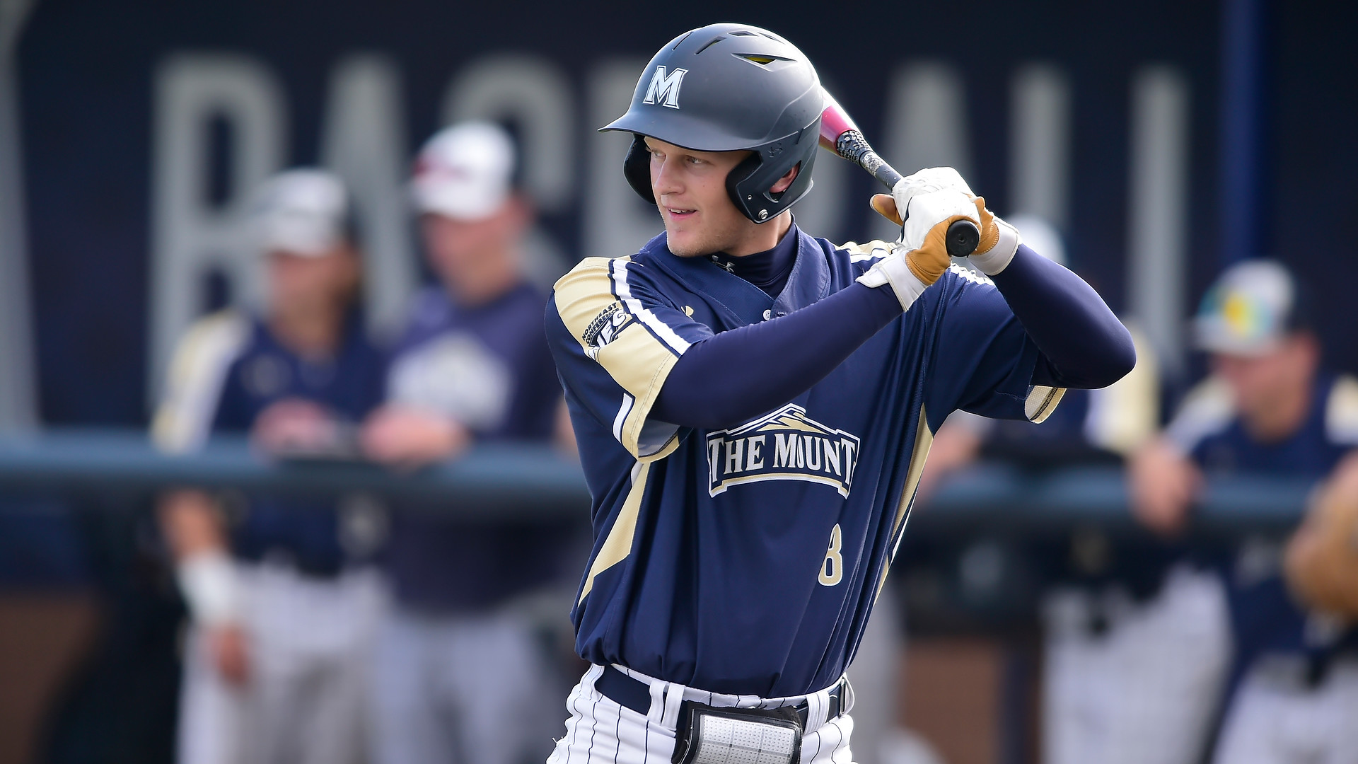 Offense Dominates as Mount Baseball Wins over Navy - Mount St. Mary's ...