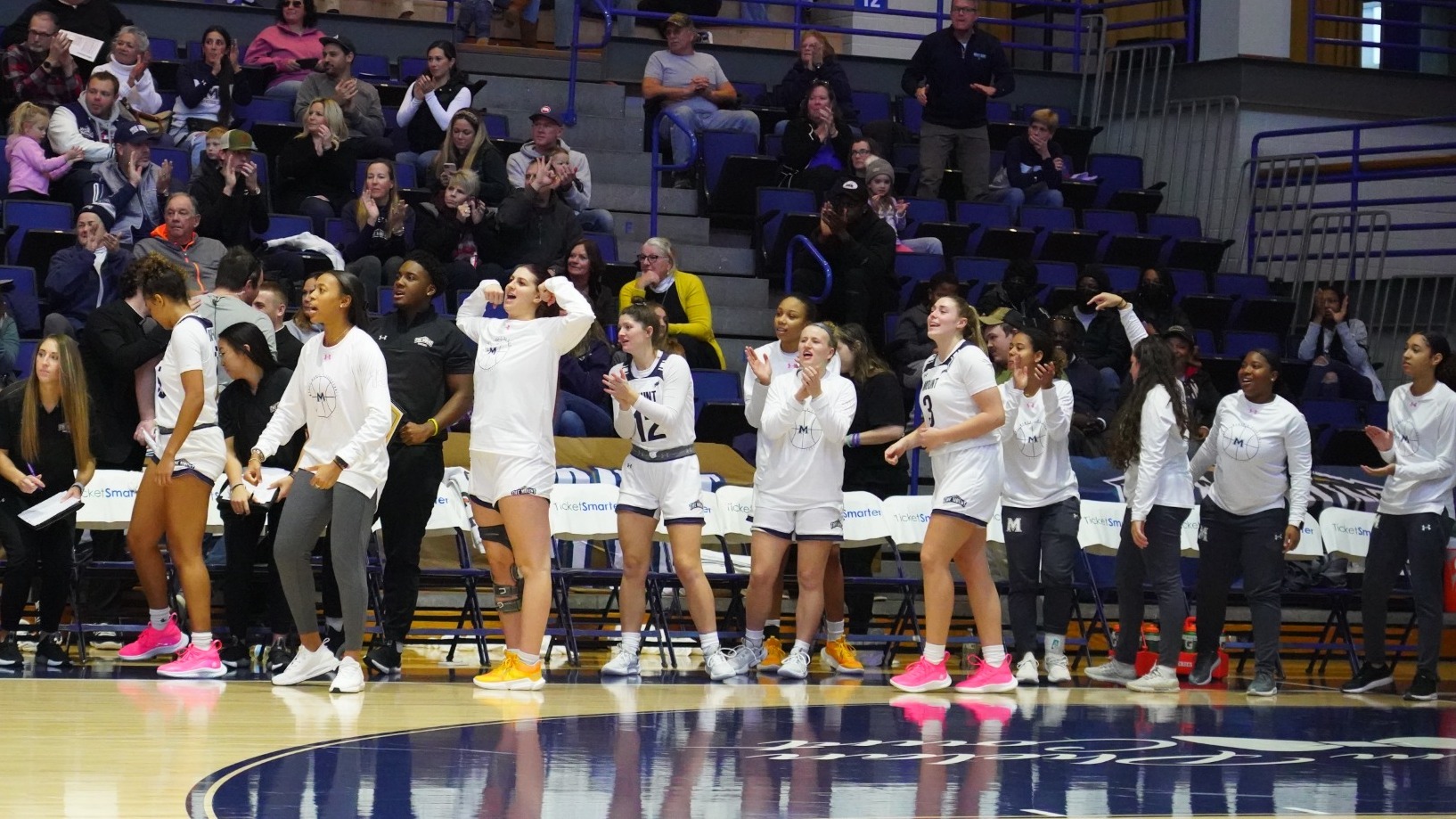 Women’s Basketball Hosts Canisius Saturday at Knott Arena - Mount St ...