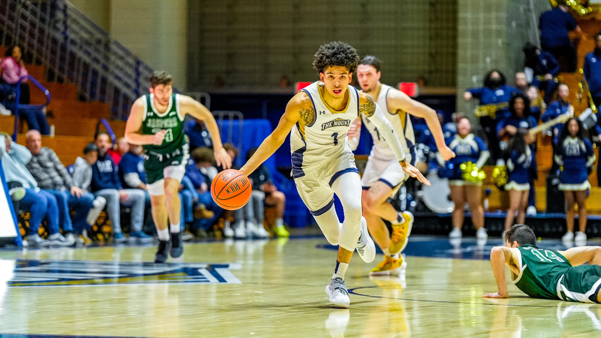 Dakota Leffew - 2023-24 - Men's Basketball - Mount St. Mary's University