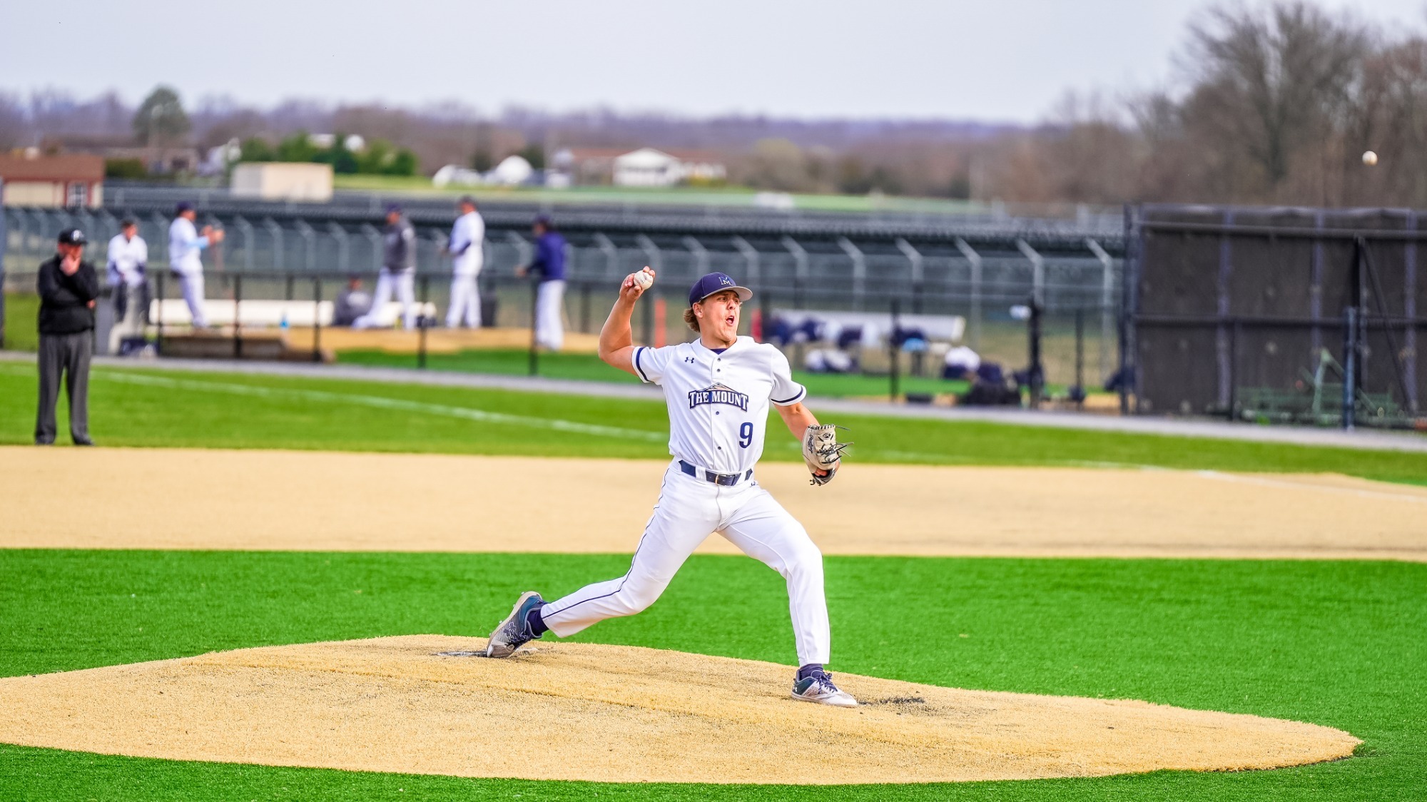 Mount Baseball Drops Series Opener to Marist - Mount St. Mary's University