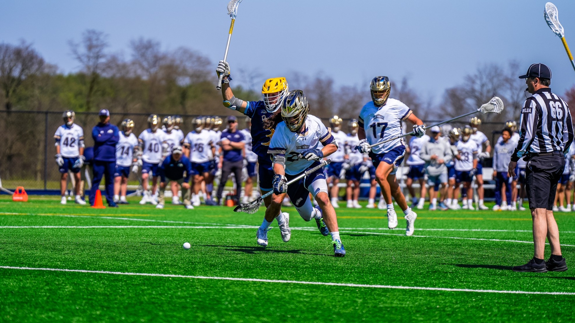 Connor Beals - 2023 - Men's Lacrosse - Mount St. Mary's University