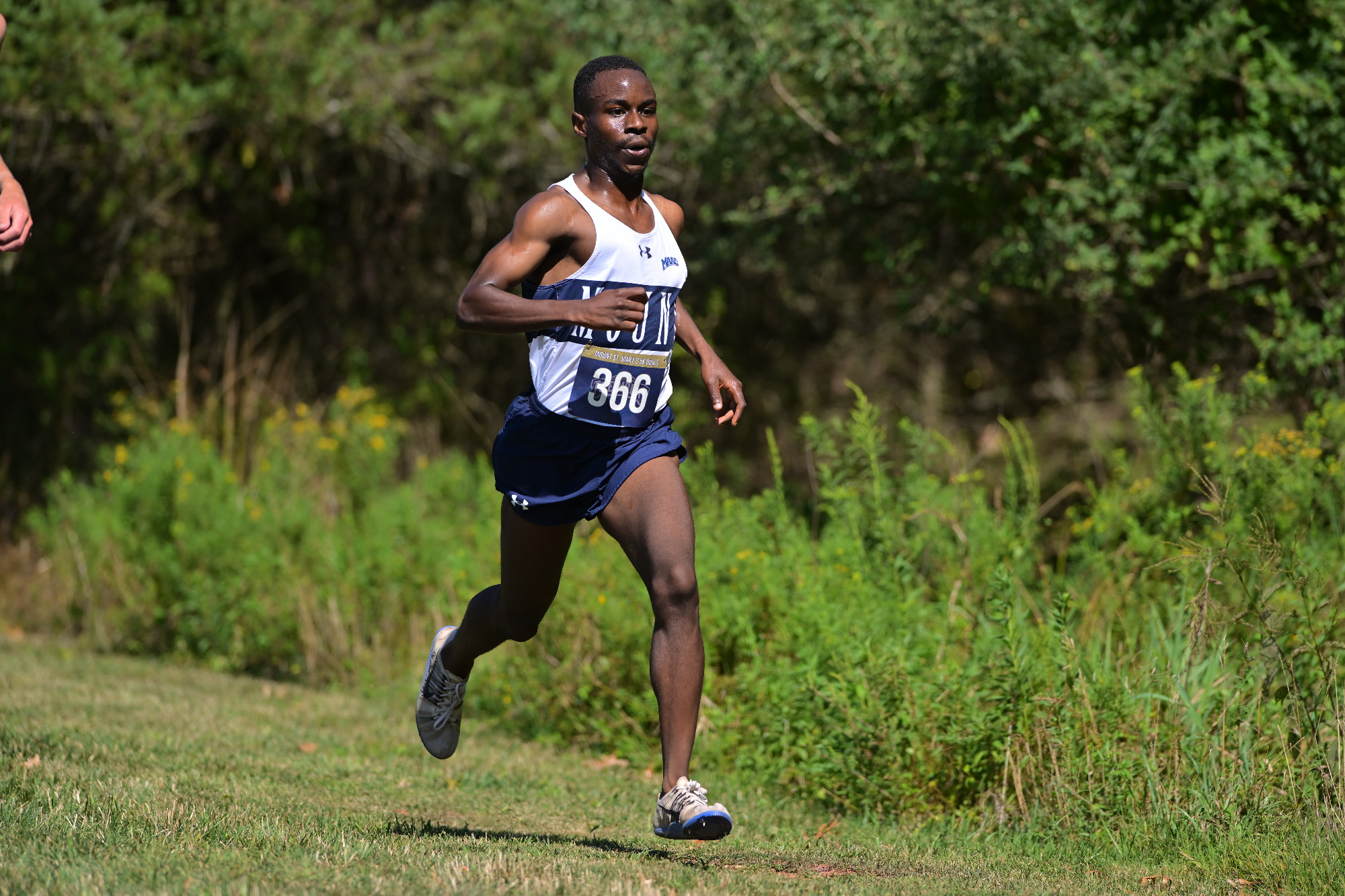 Michael Chipi Named MAAC Cross Country Runner of the Week - Mount St ...