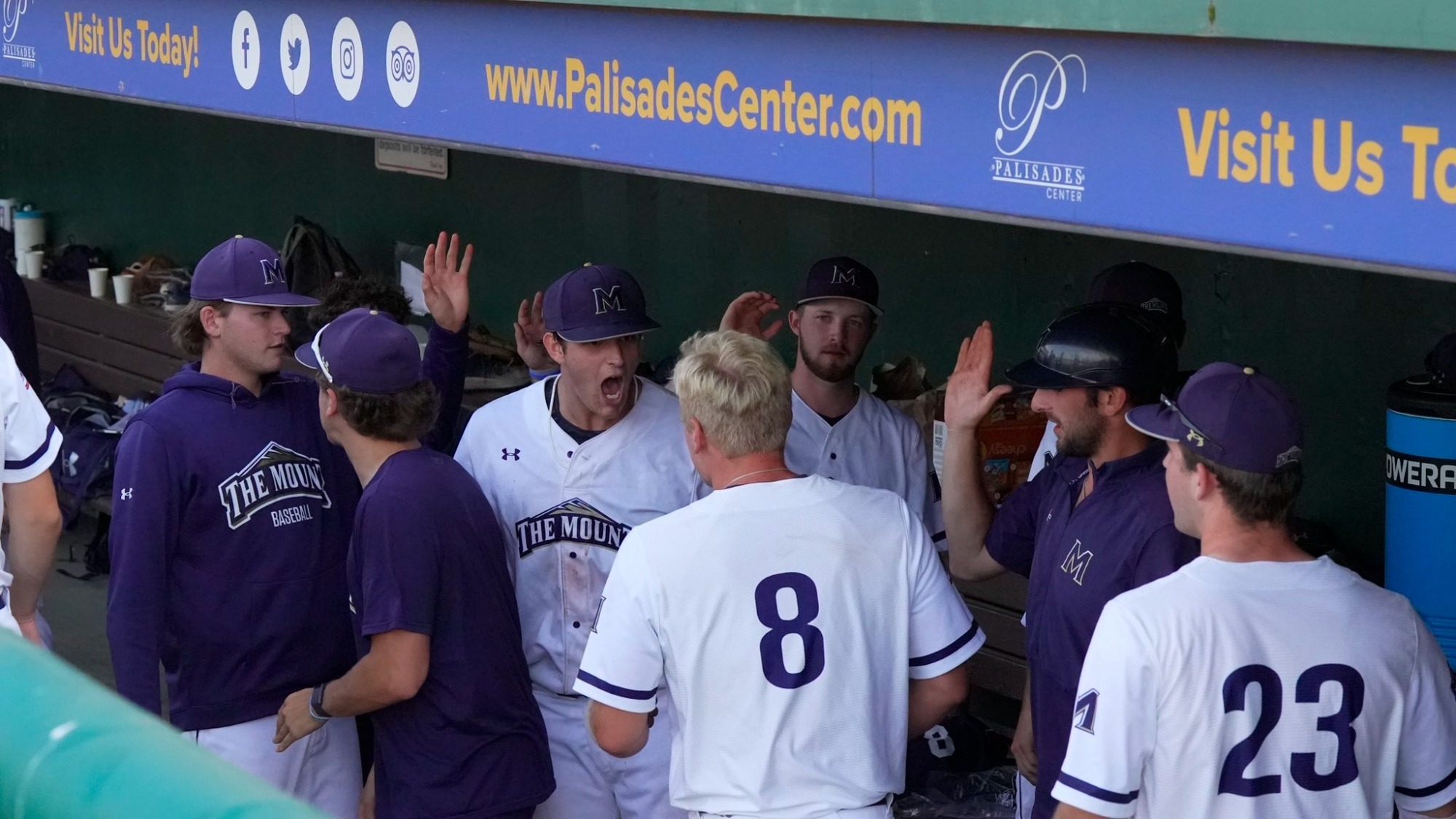 Deven Sheerin - 2024 - Baseball - Mount St. Mary's University