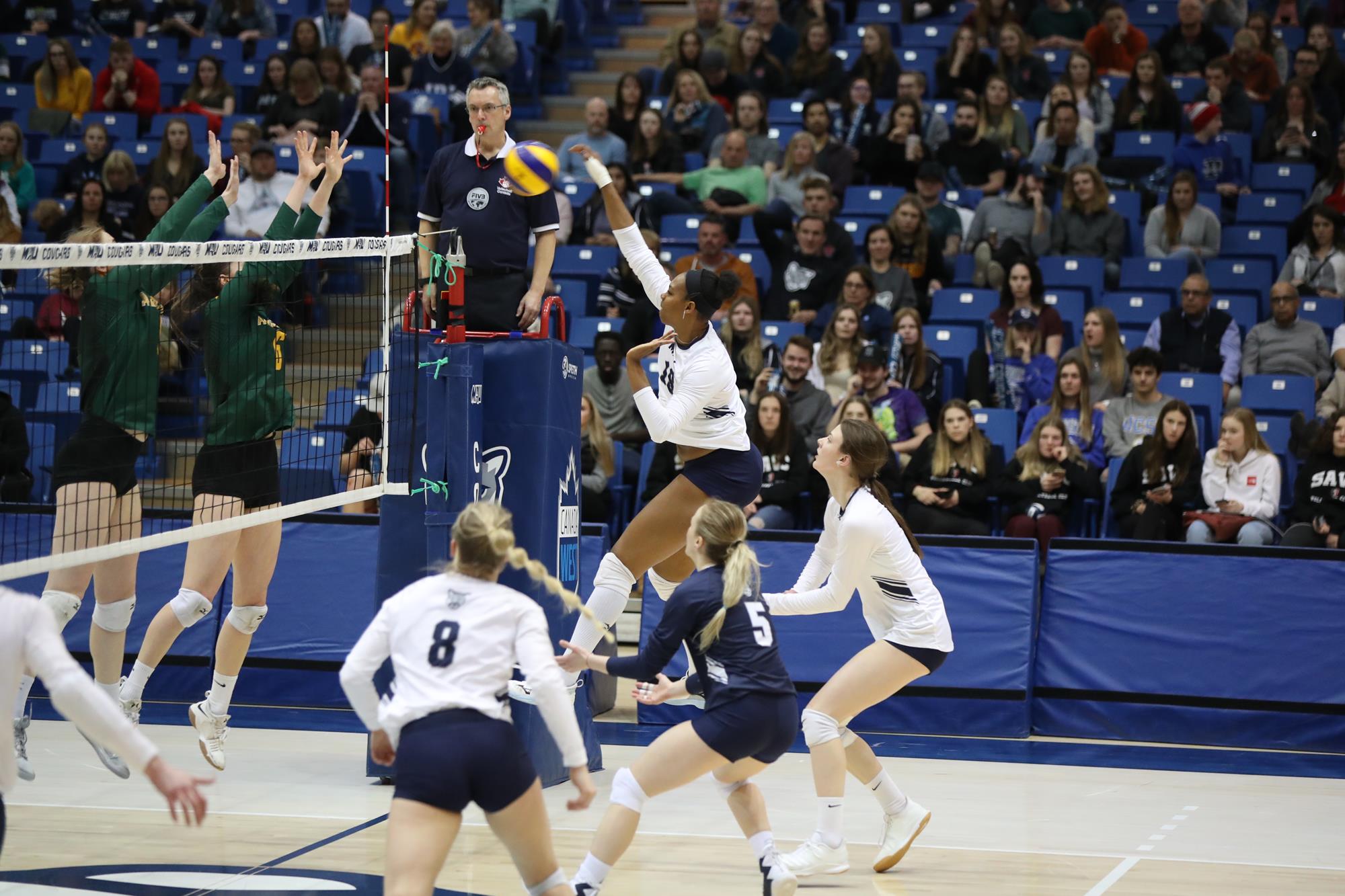 Tasha Holness - 2019-20 - Women's Volleyball - Mount Royal University ...