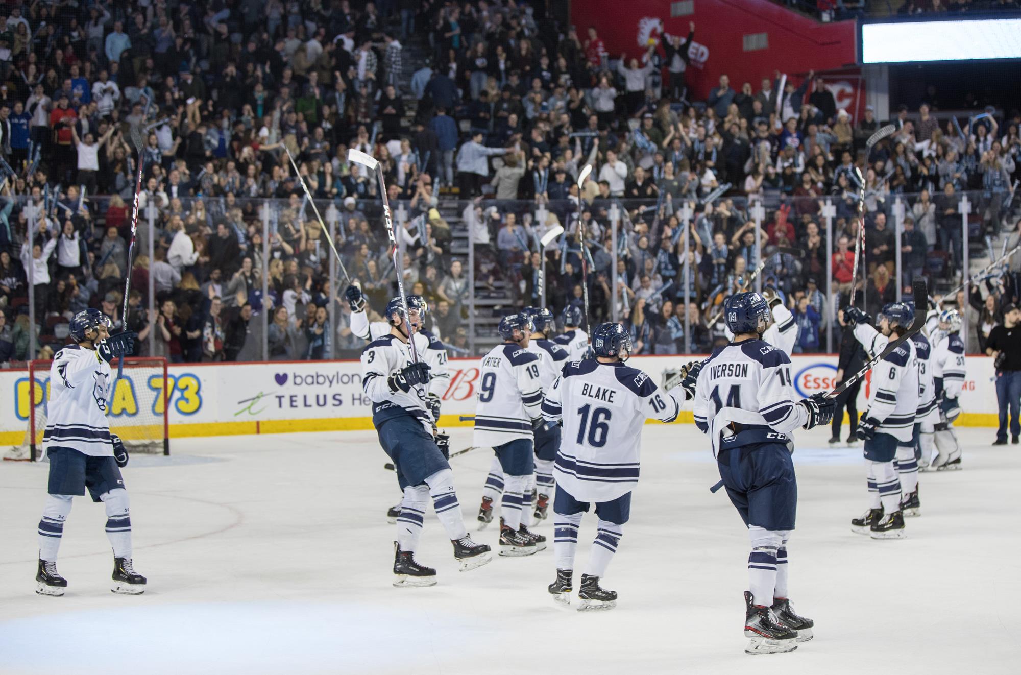 Heart and hustle - Mount Royal University Cougars Athletics & Recreation