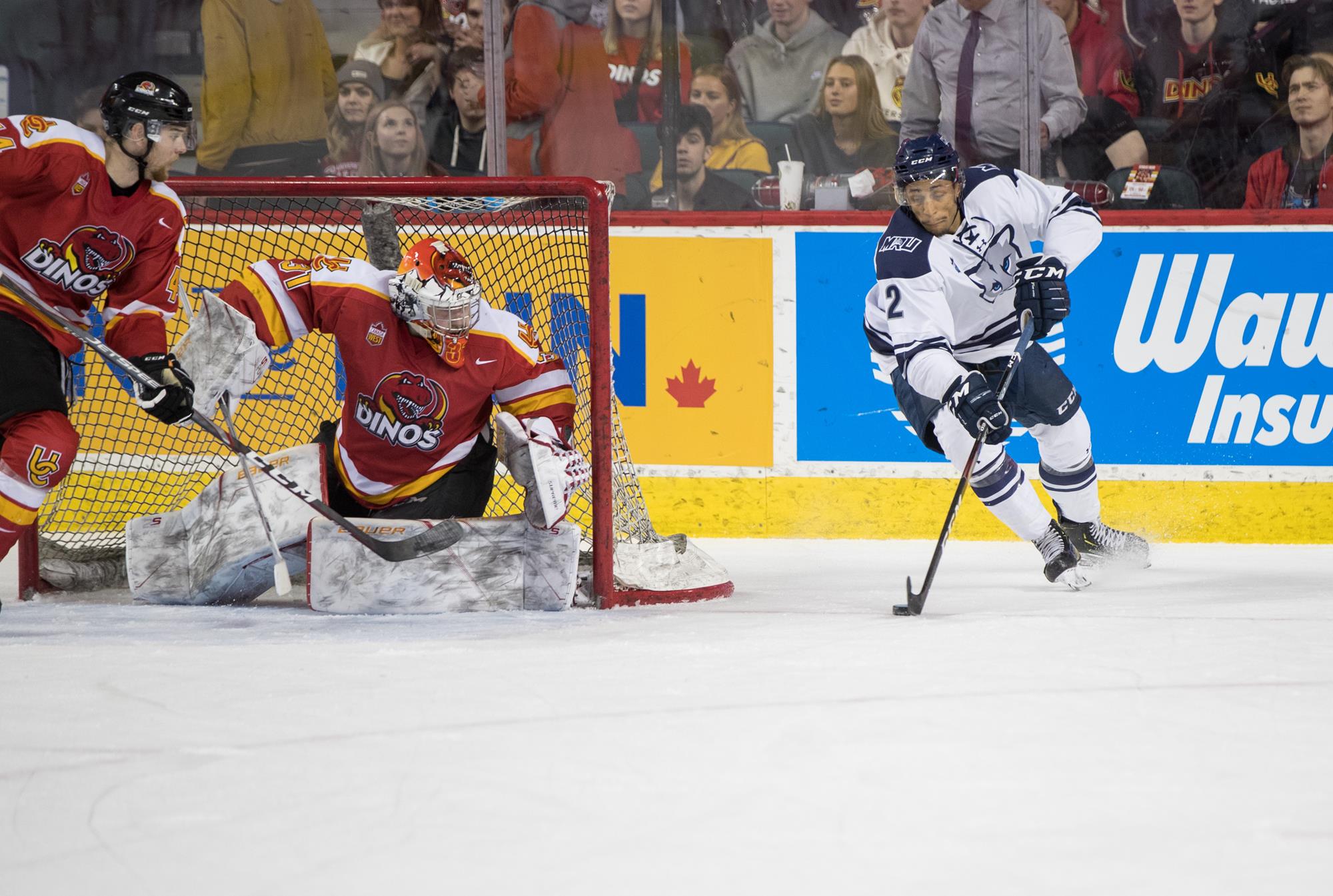 Jamal Watson - 2019-20 - Men's Hockey - Mount Royal University Cougars ...
