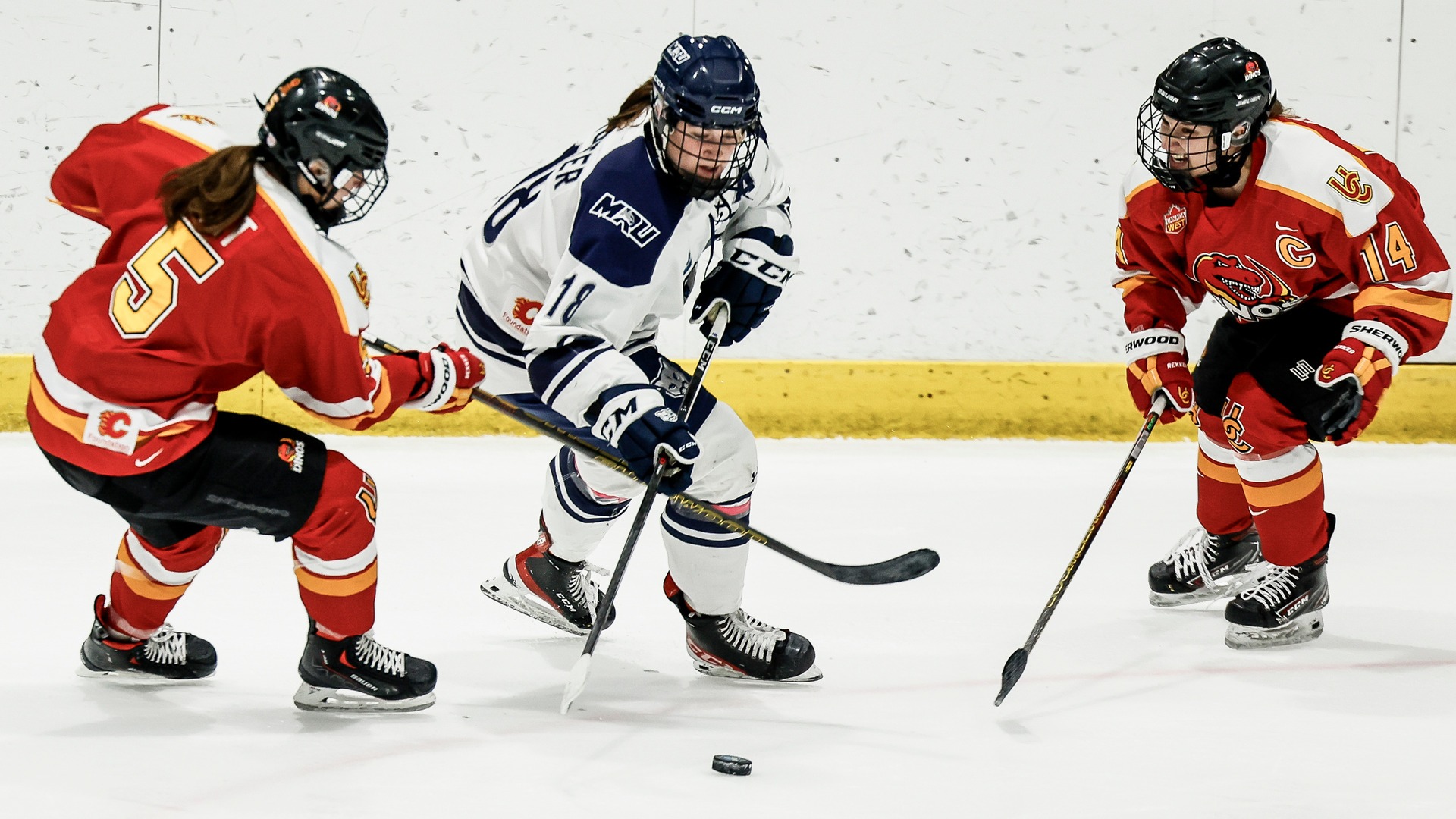 Breanne Trotter - 2023-24 - Women's Hockey - Mount Royal University ...