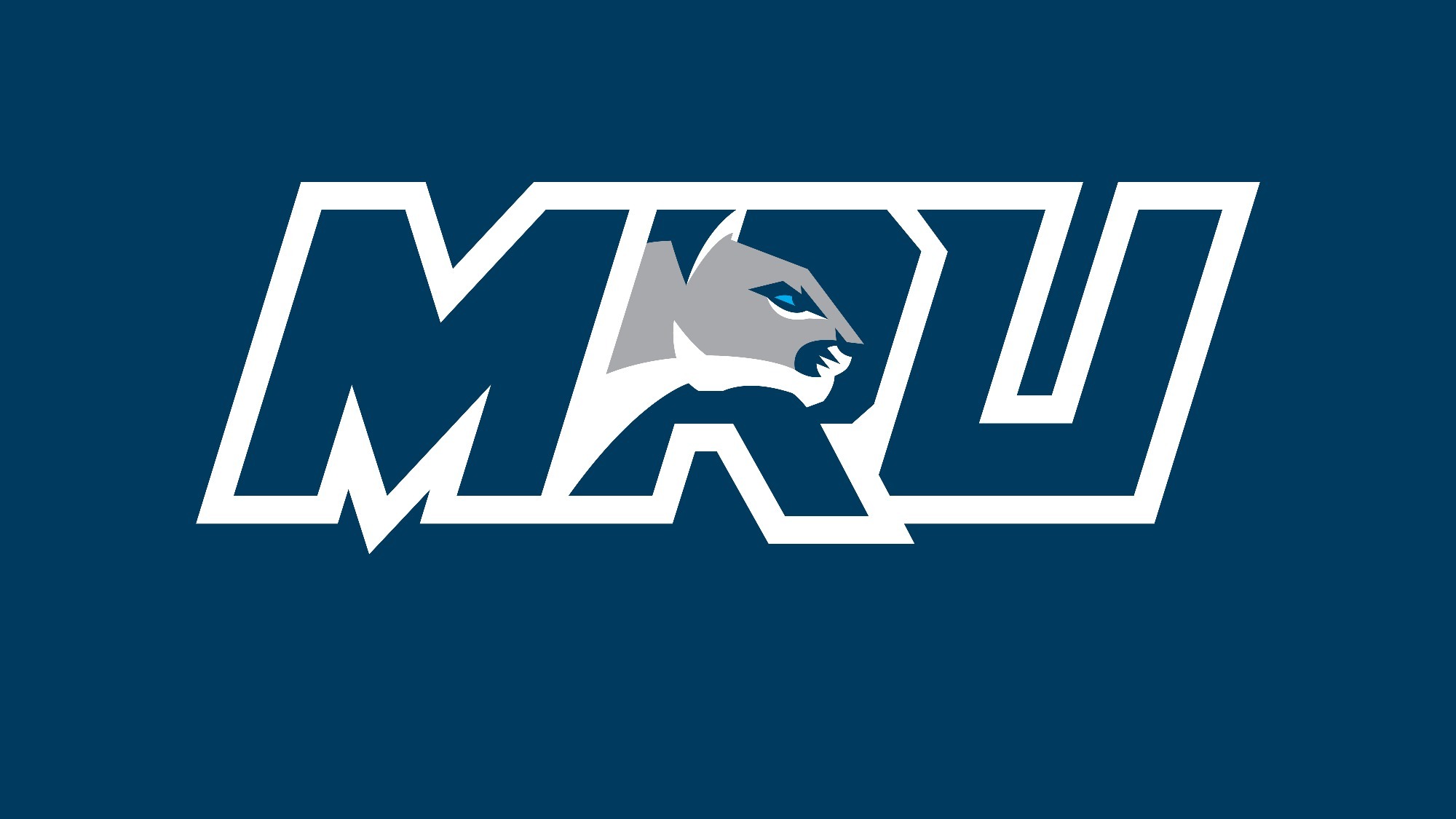 MRU Cougars respond to remarks during basketball broadcast - Mount ...