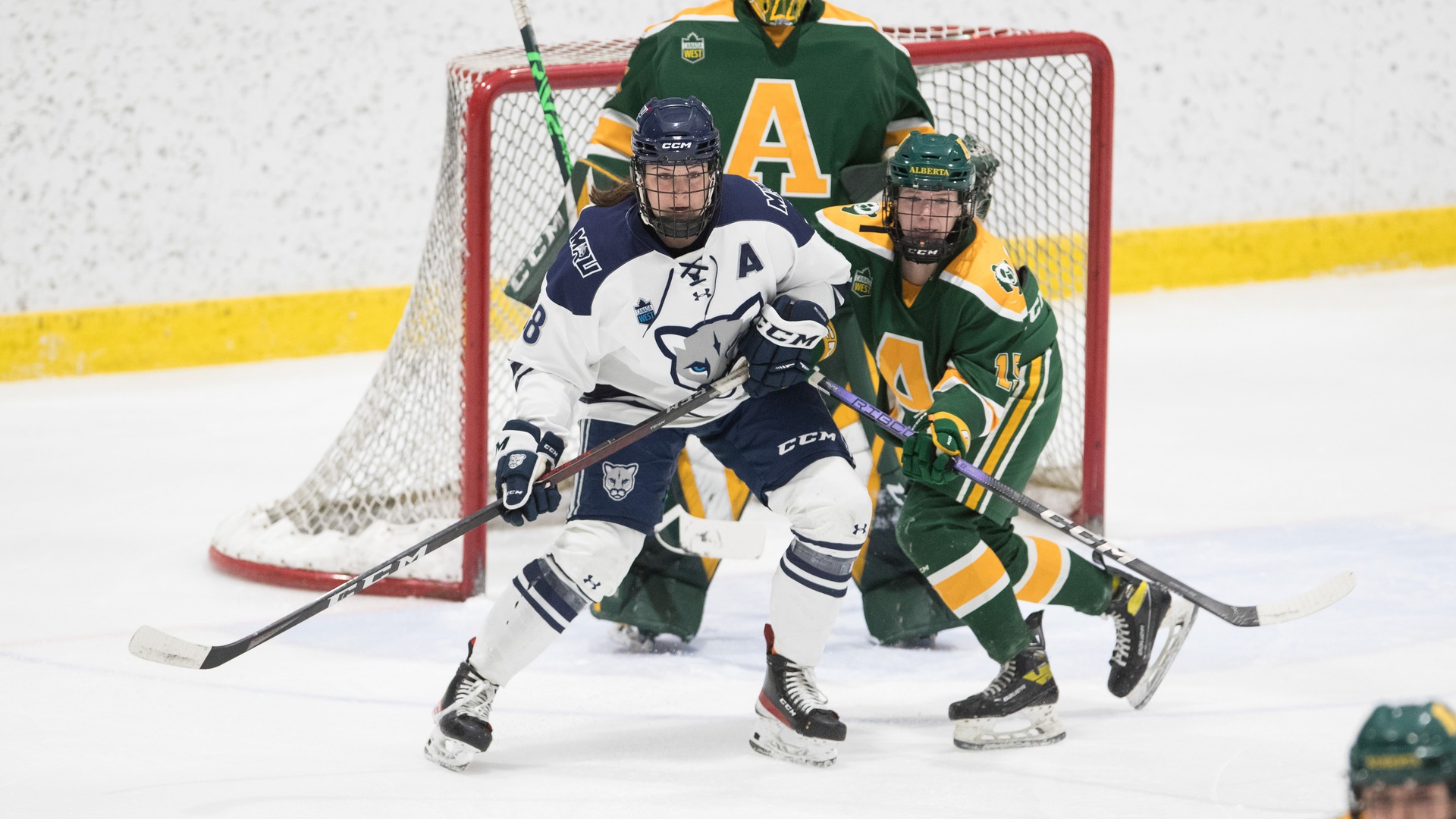 Breanne Trotter - 2023-24 - Women's Hockey - Mount Royal University ...