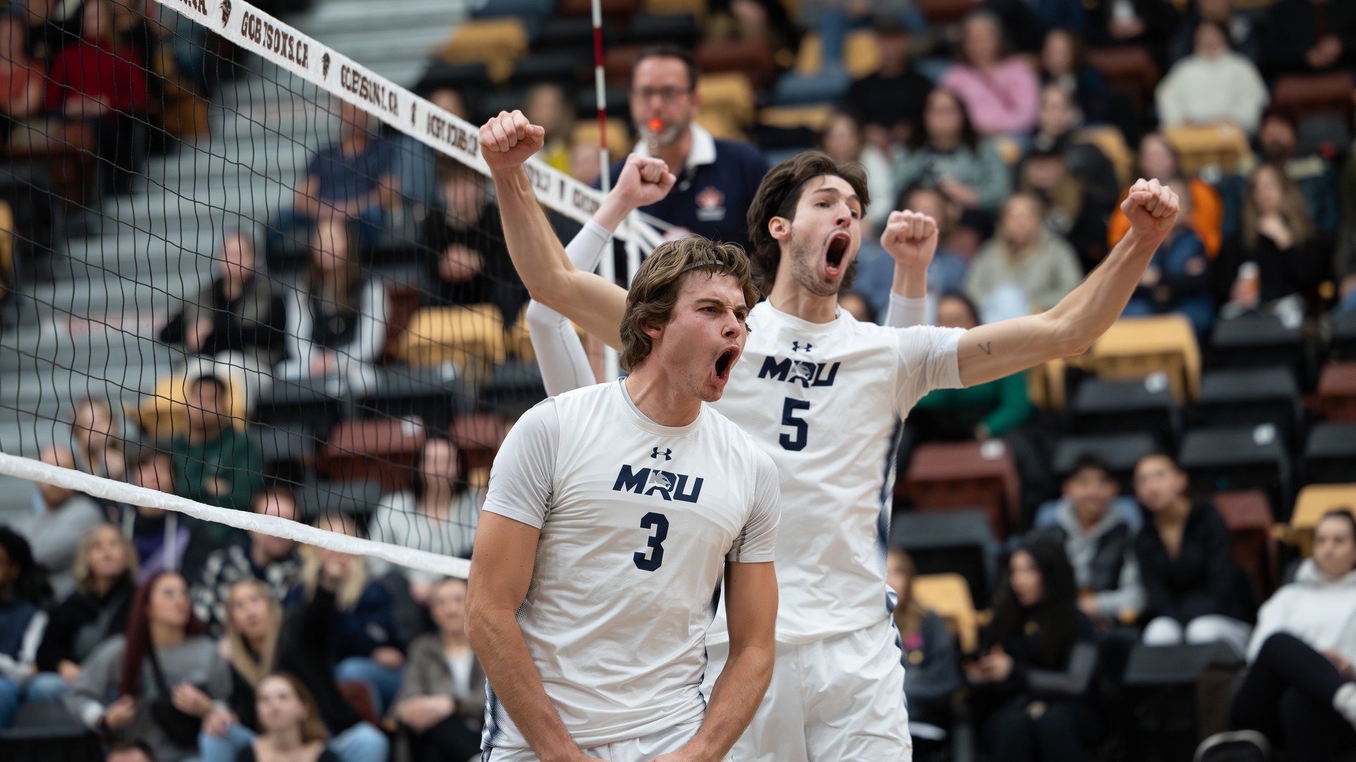 Cougars Catchup: November 20, 2023 - Mount Royal University Cougars ...