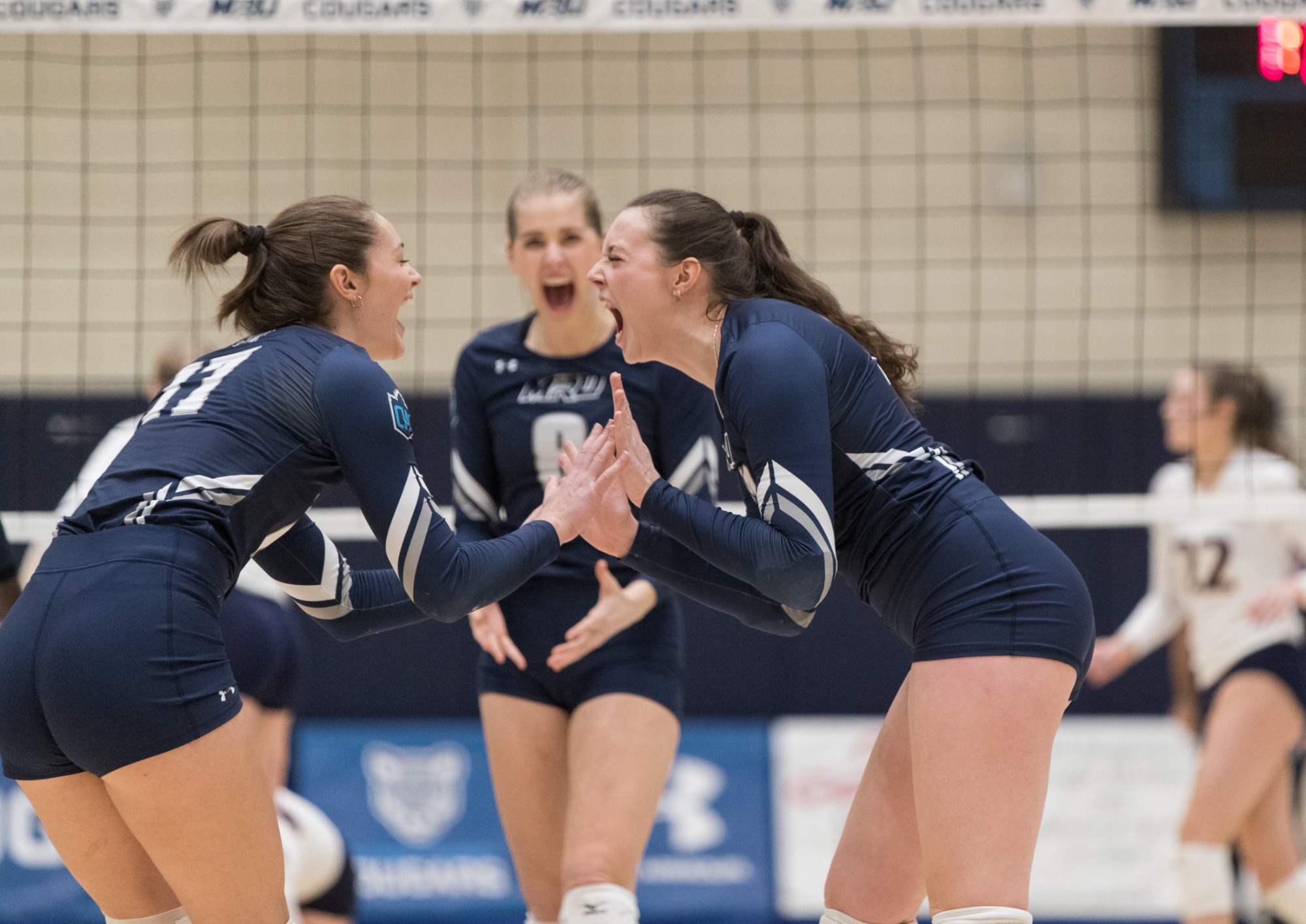 WVB: Semi-final preview - Mount Royal University Cougars Athletics ...