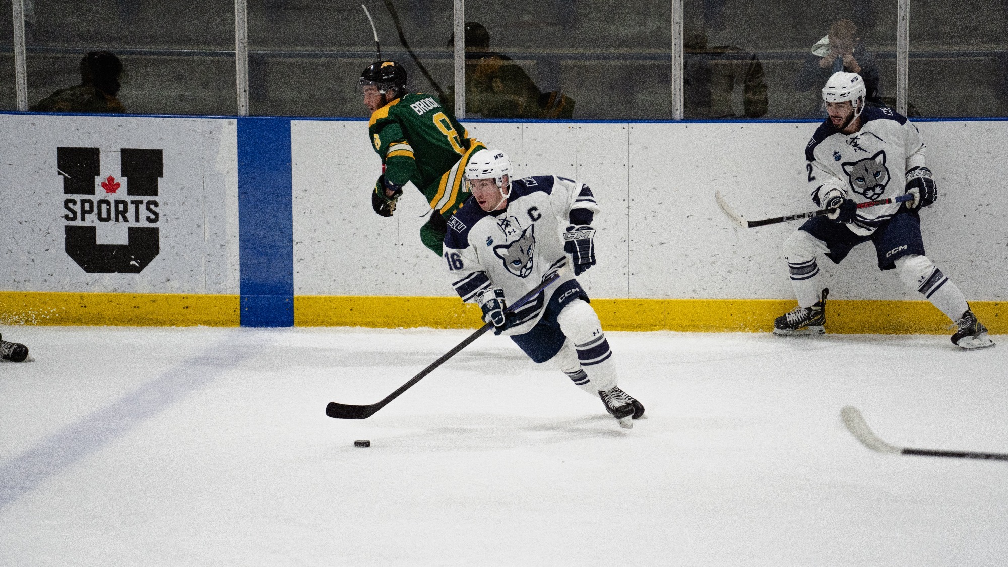 Connor Blake - 2023-24 - Men's Hockey - Mount Royal University Cougars ...