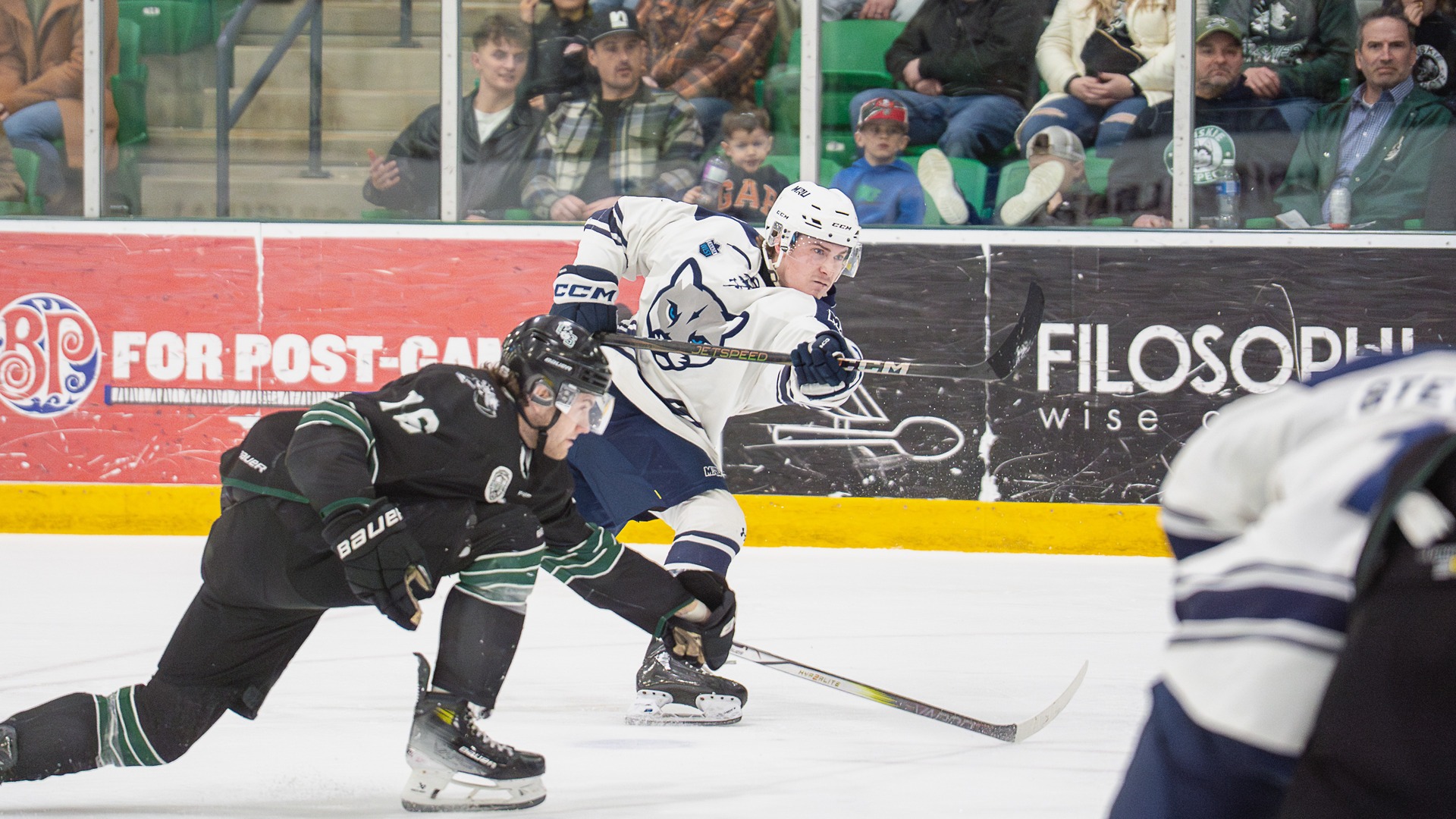 MRU Recreation Access Information - Mount Royal University Cougars ...