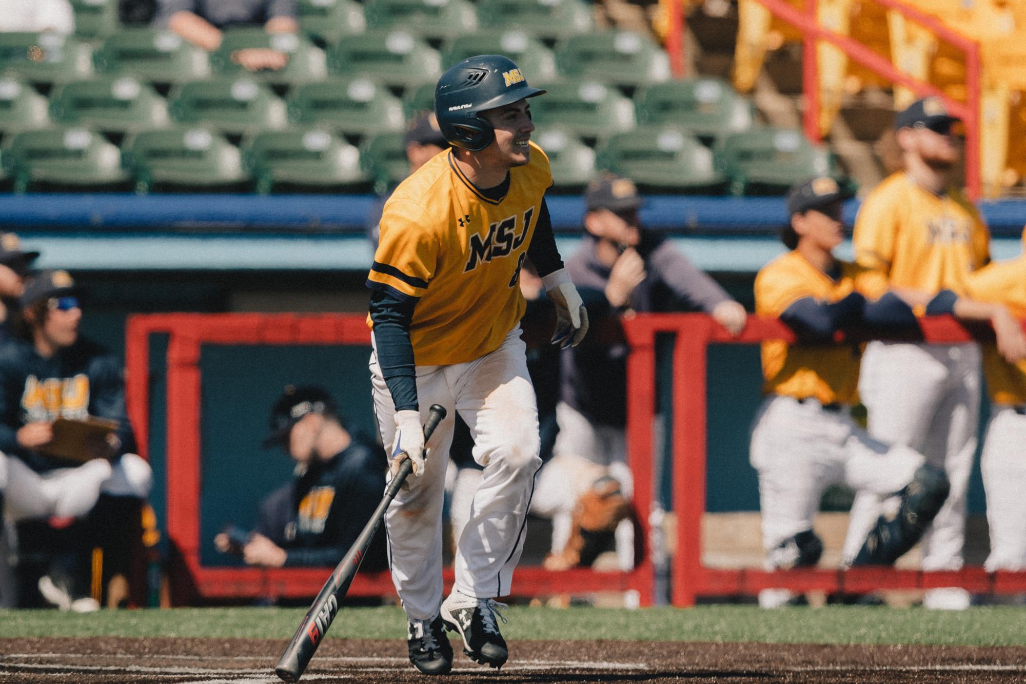 The Lions Put their Bats on Full Display, In Nail-Bitting Loss - Mount ...