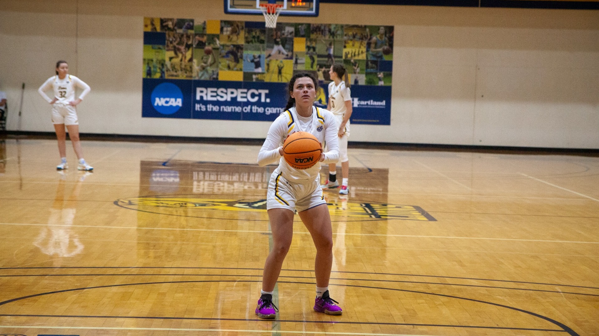 Lions Comeback Falls Short Versus Denison - Mount St. Joseph University