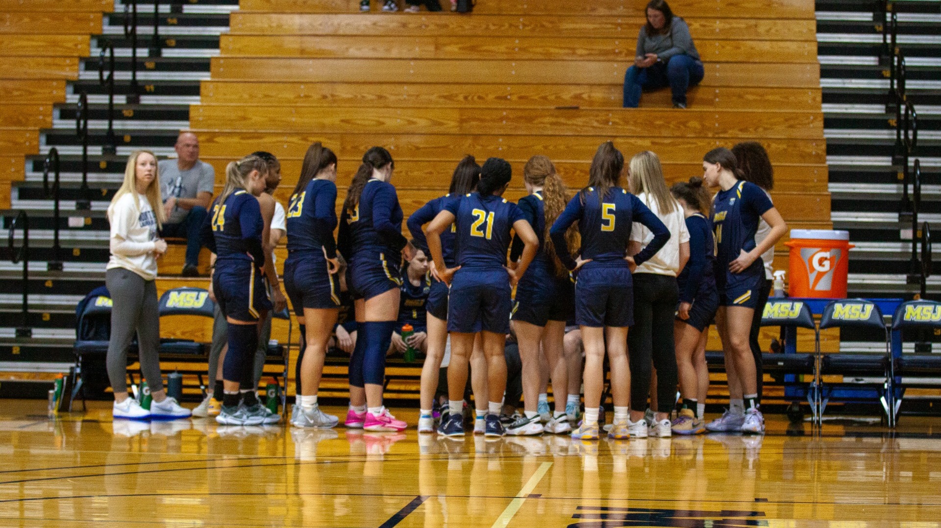 Lions Season Comes to a Close in HCAC Championship - Mount St. Joseph ...