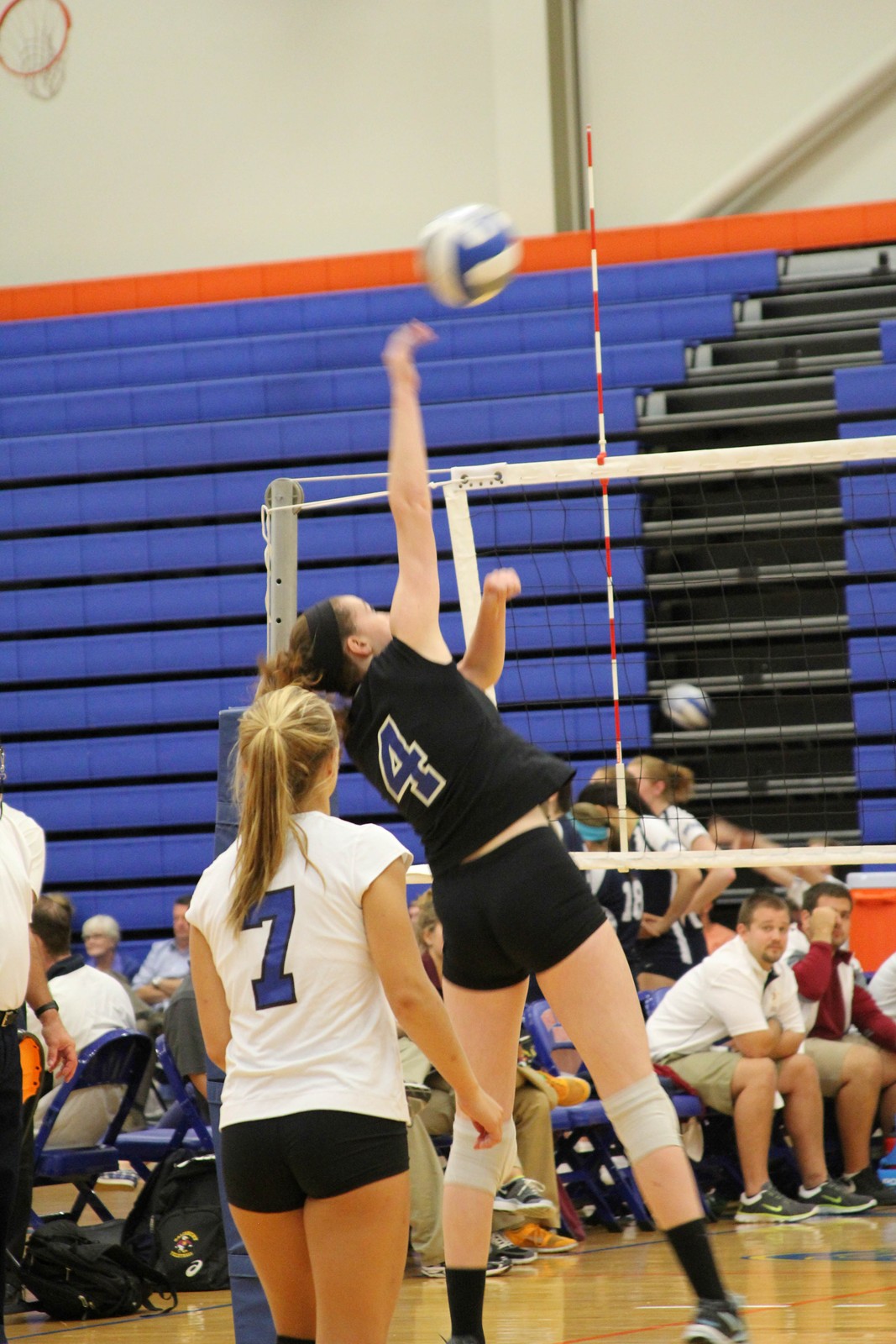 Elizabeth Lavin - Women's Volleyball - Mount Saint Mary College Athletics