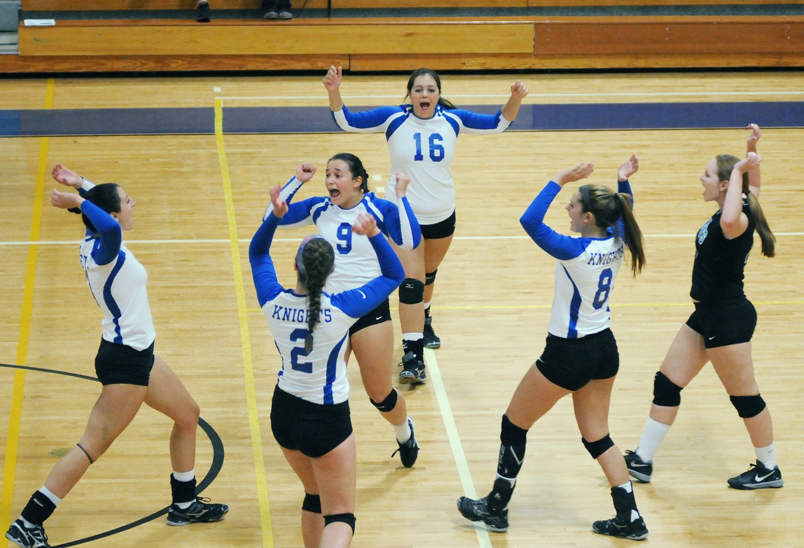 Brianna Johnston - Women's Volleyball - Mount Saint Mary College Athletics