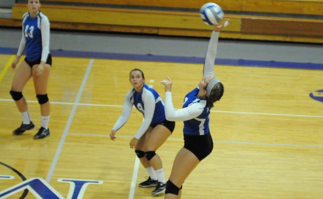 Rachel Sabatini - Women's Volleyball - Mount Saint Mary College Athletics