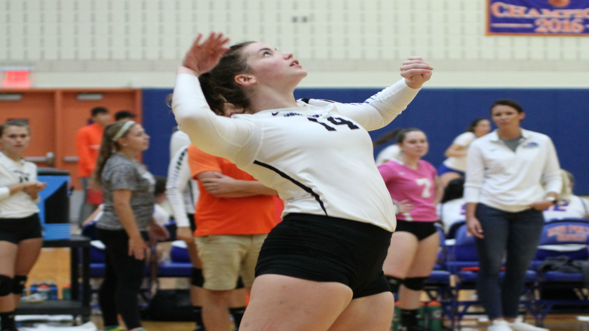 Morgan Burke - Women's Volleyball - Mount Saint Mary College Athletics