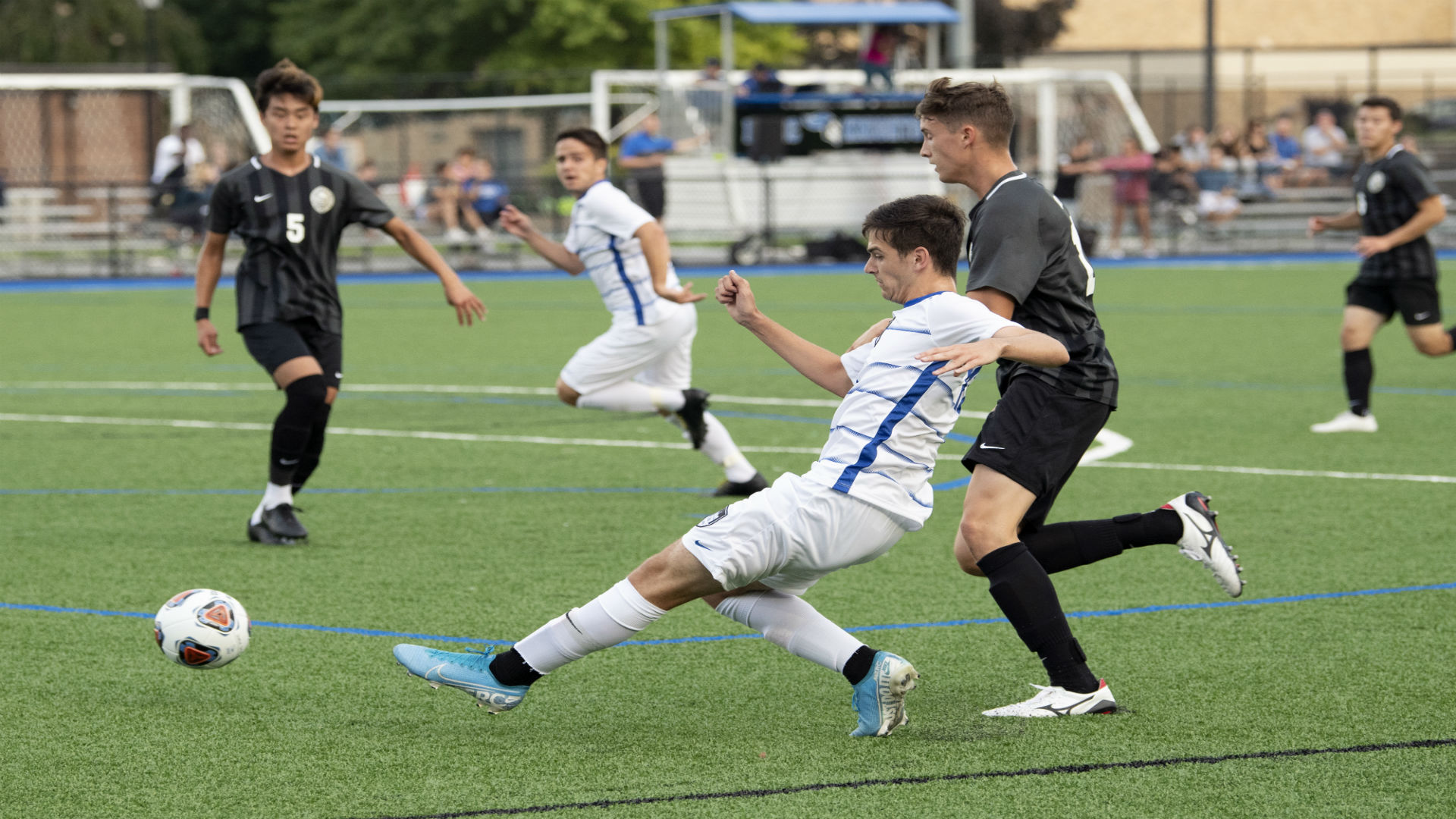 Christopher Maggi - Men's Soccer - Mount Saint Mary College Athletics