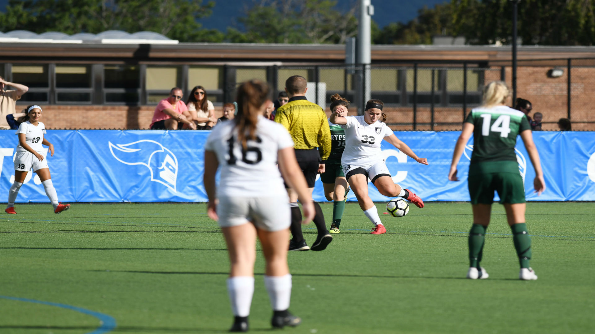 KellyAnn Platt - Women's Soccer - Mount Saint Mary College Athletics